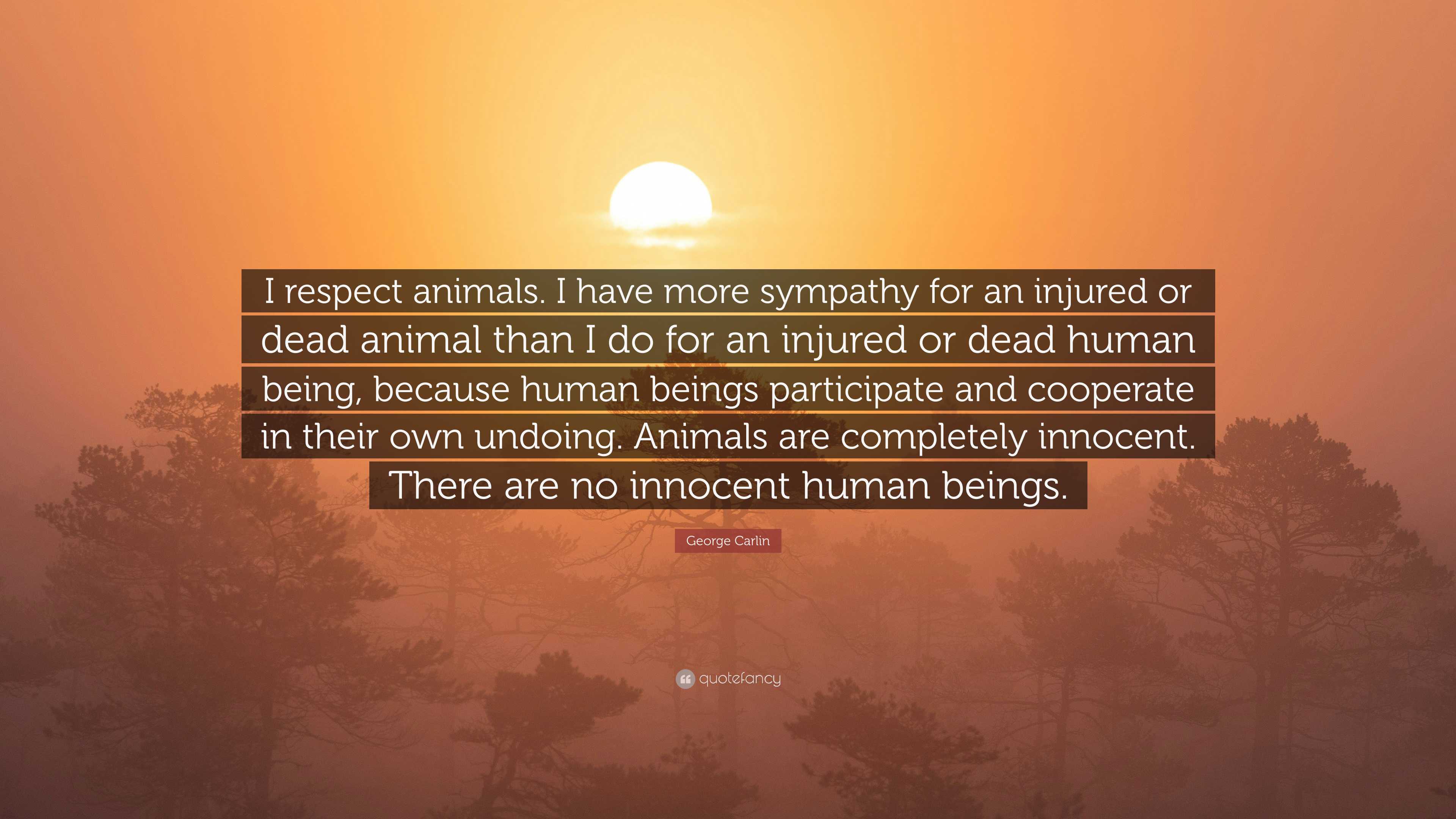 George Carlin Quote: “I respect animals. I have more sympathy for an ...
