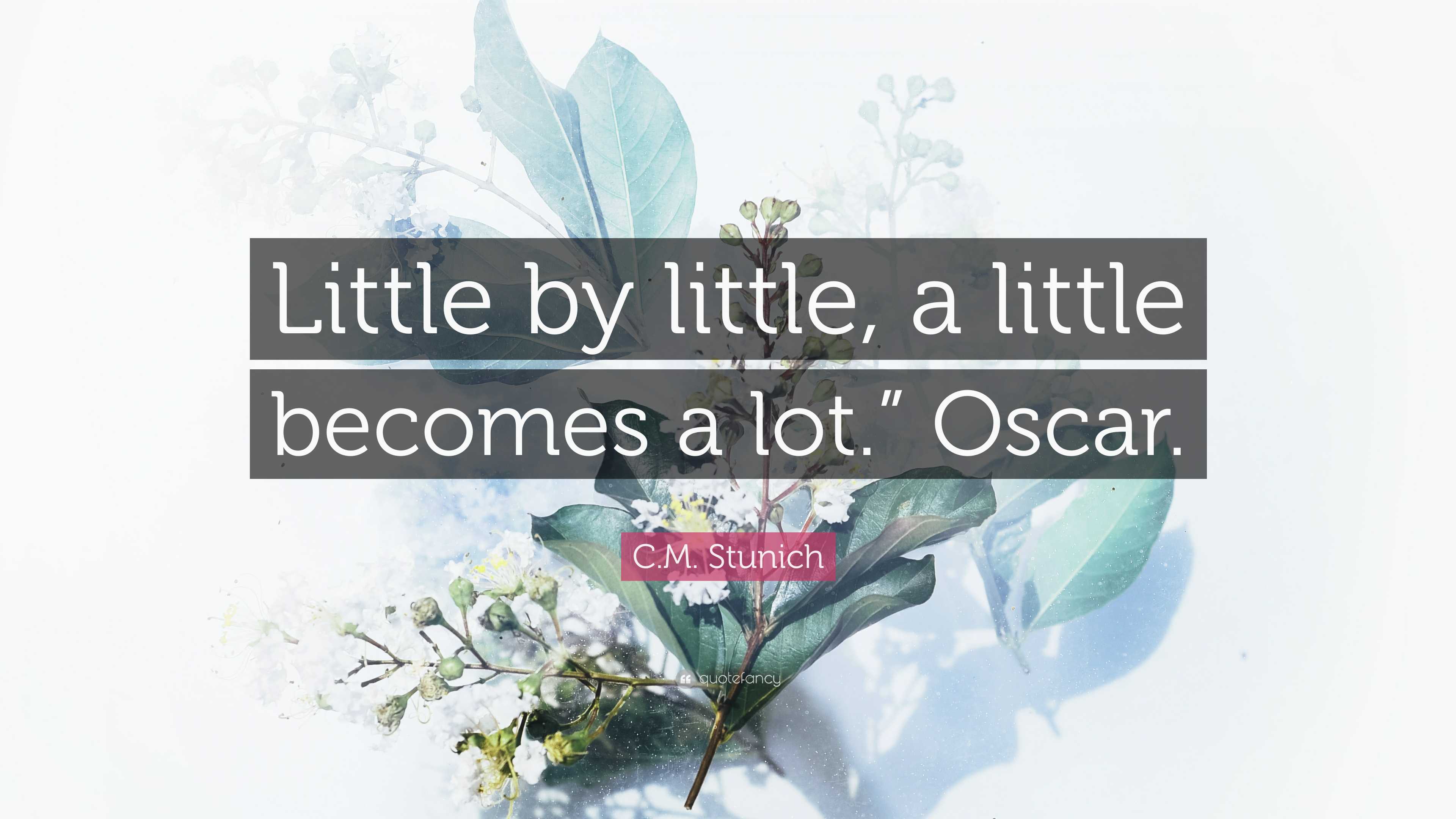 C.M. Stunich Quote: “Little by little, a little becomes a lot.” Oscar.”
