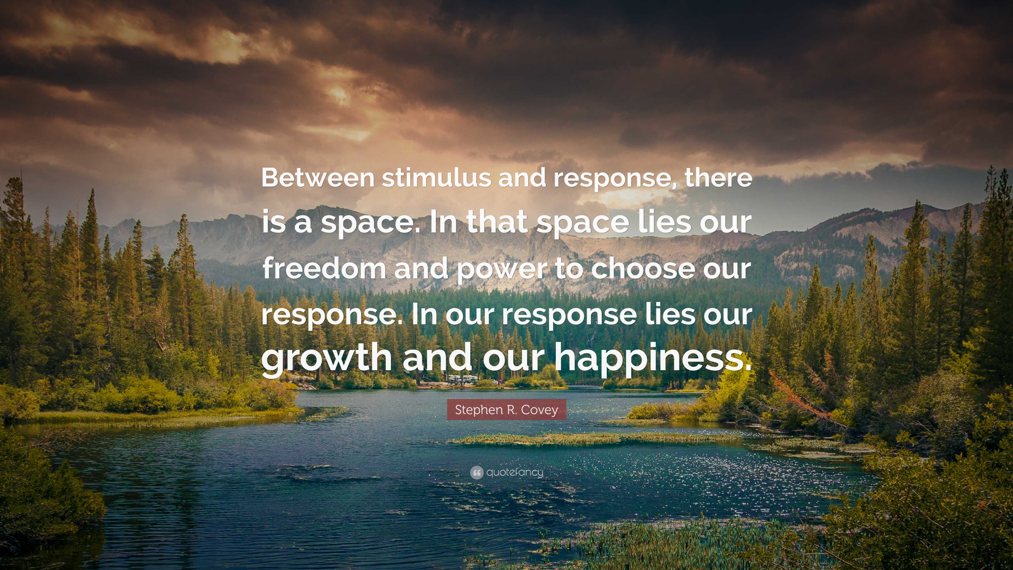 Stephen R. Covey Quote: “Between stimulus and response, there is a ...