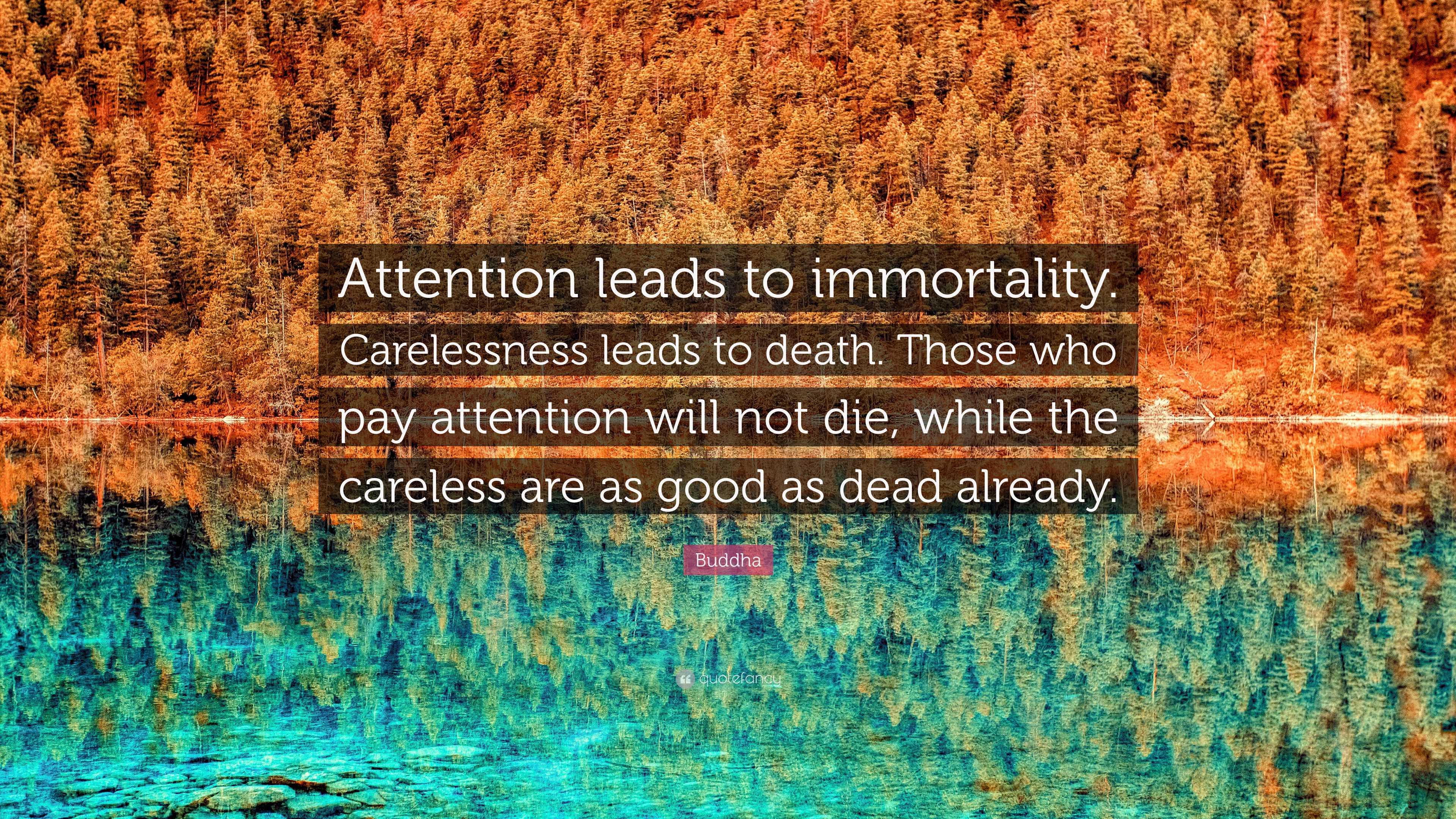 Buddha Quote: “Attention leads to immortality. Carelessness leads to ...