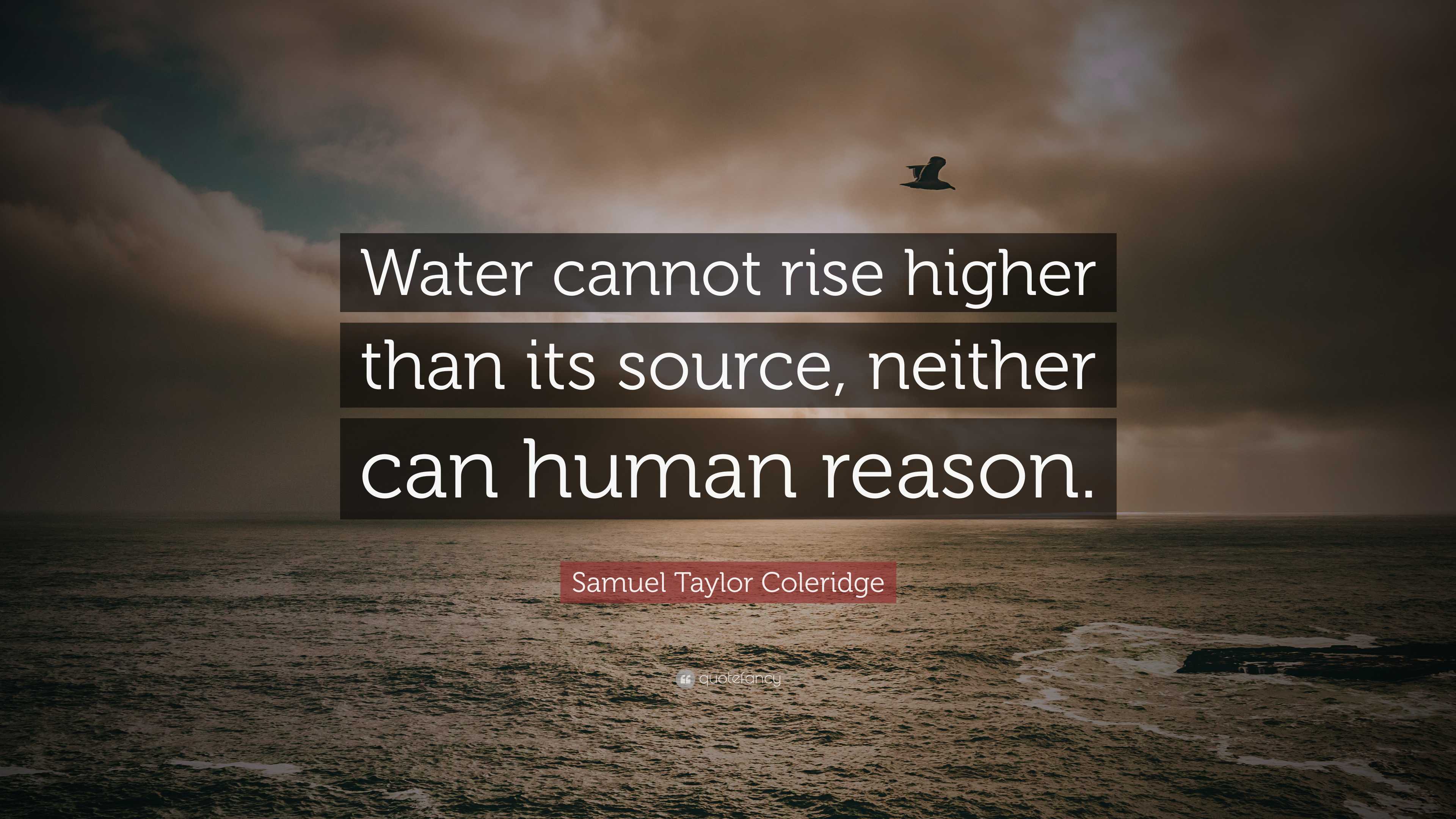 Samuel Taylor Coleridge Quote: “Water cannot rise higher than its ...