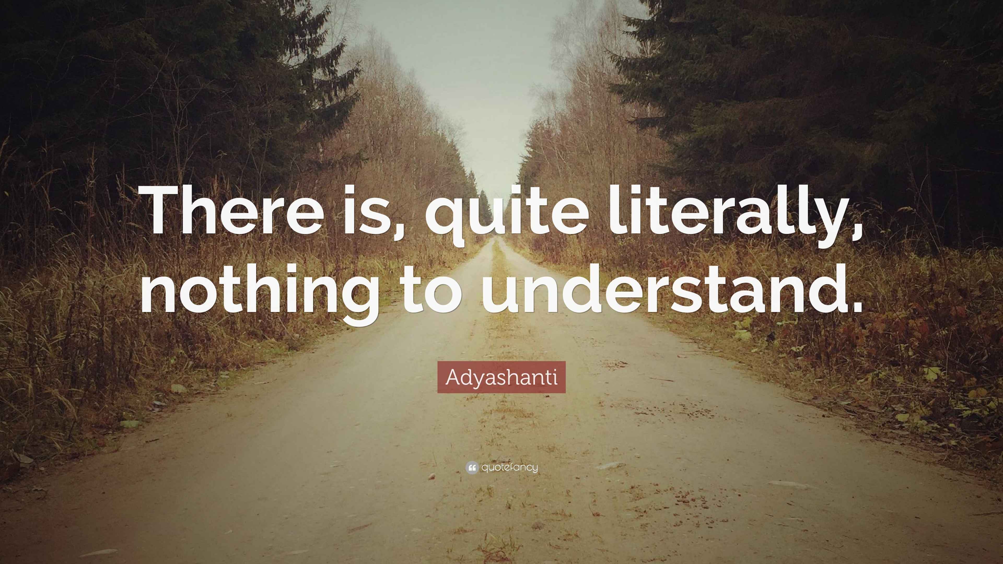 Adyashanti Quote: “There is, quite literally, nothing to understand.”