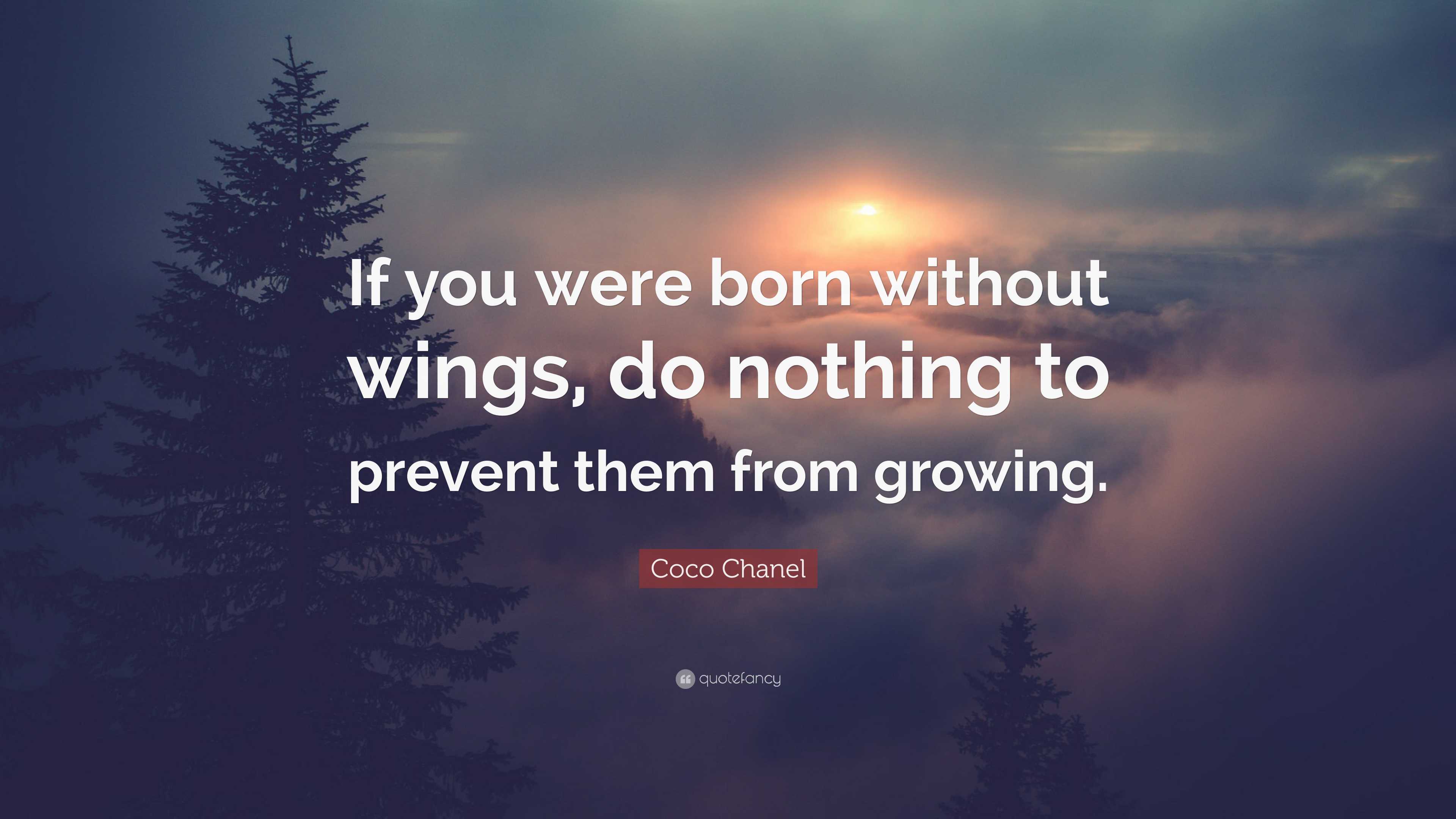 Coco Chanel Quote: “If you were born without wings, do nothing to ...