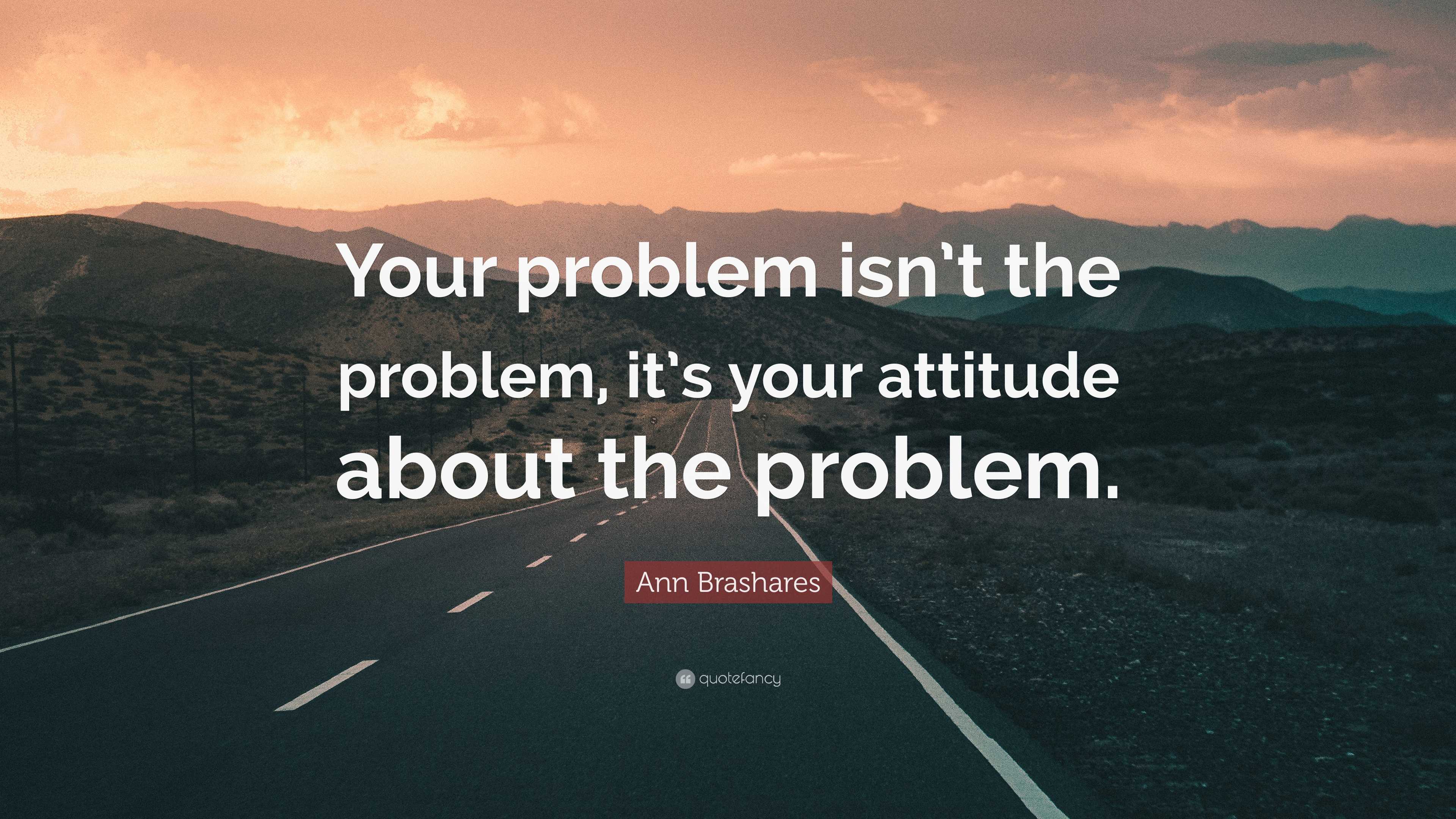 Ann Brashares Quote: “Your problem isn’t the problem, it’s your ...