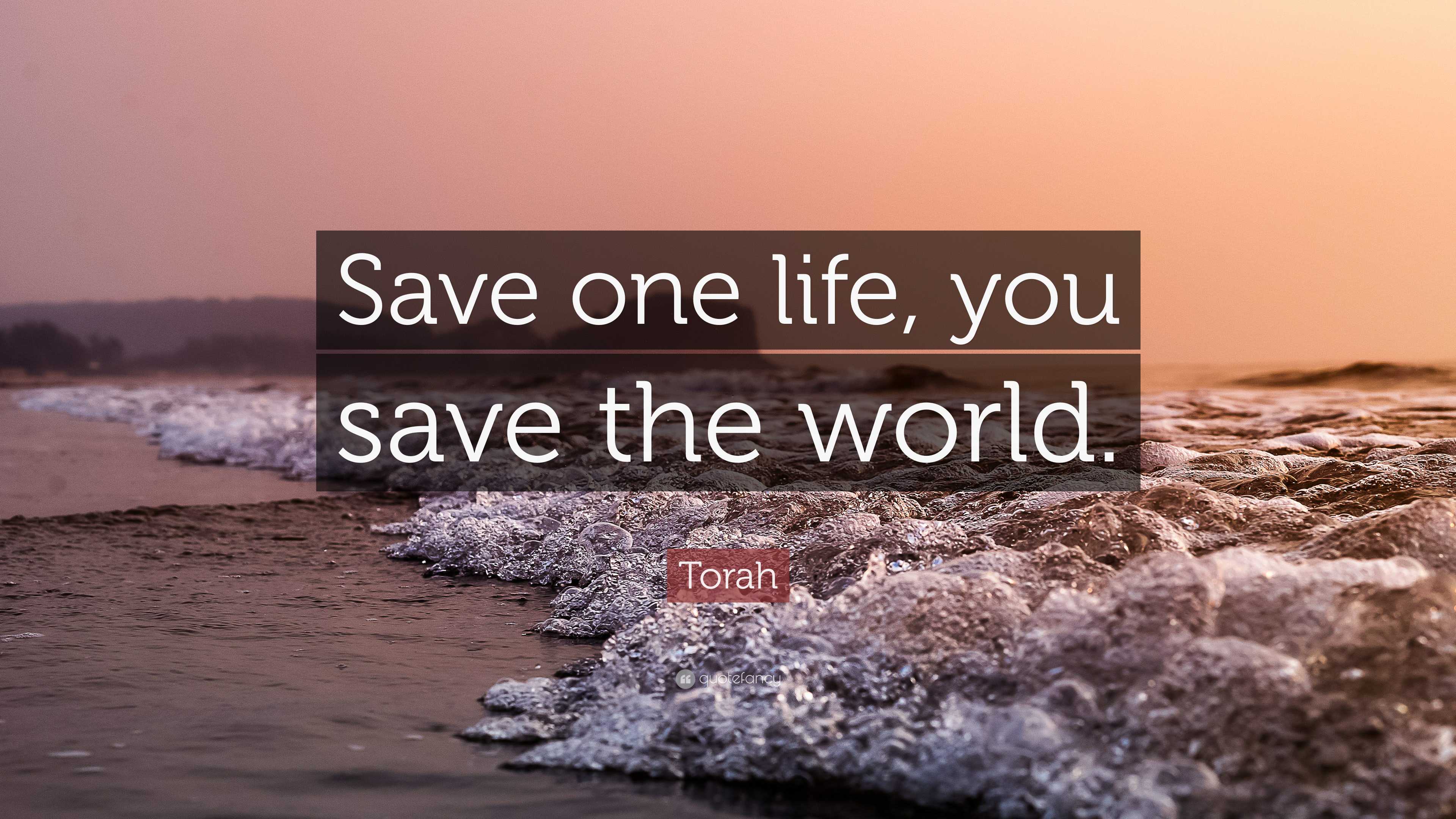 Torah Quote: “Save one life, you save the world.”