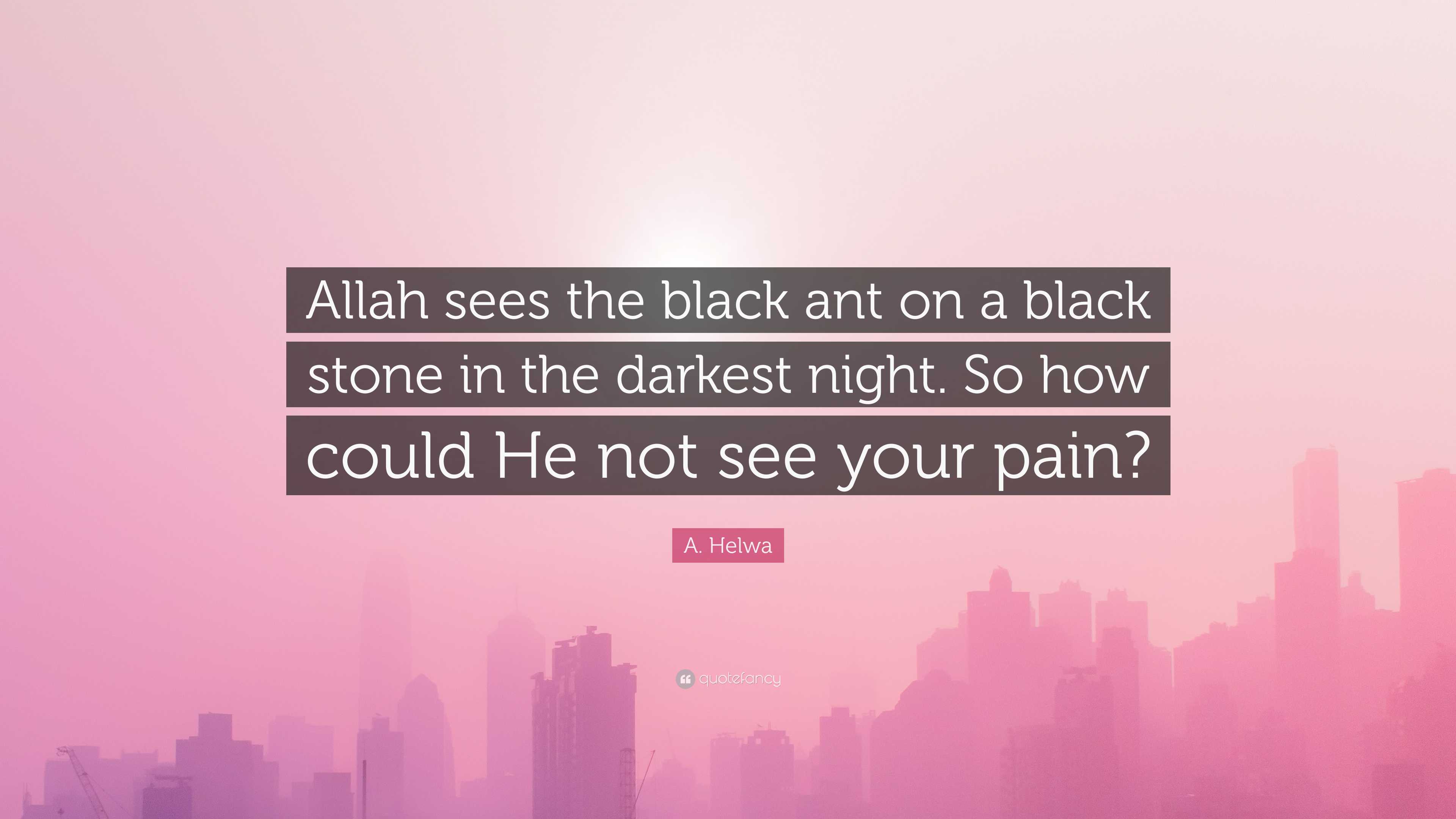 A. Helwa Quote: “Allah sees the black ant on a black stone in the ...