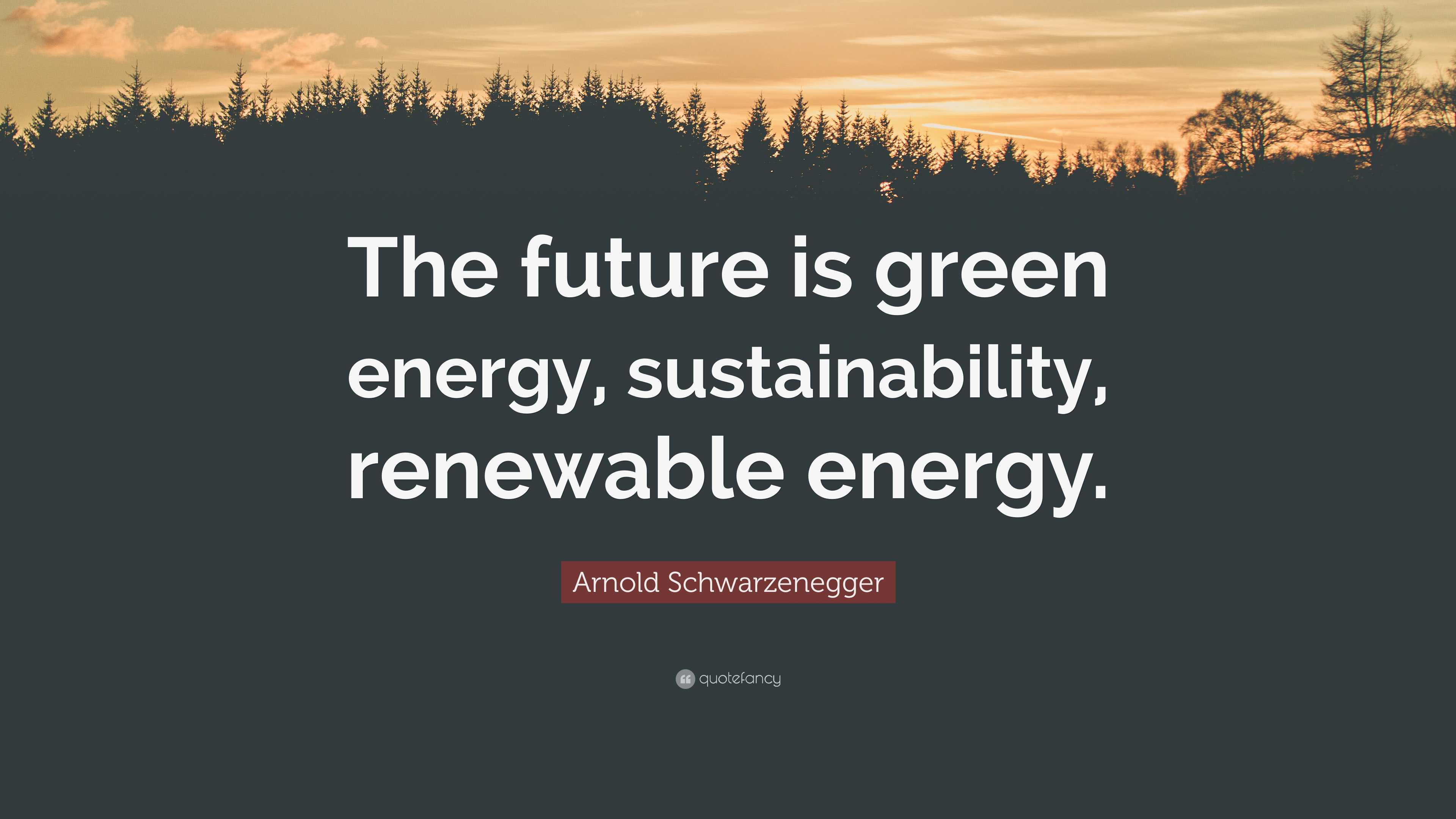 Arnold Schwarzenegger Quote: “The future is green energy ...