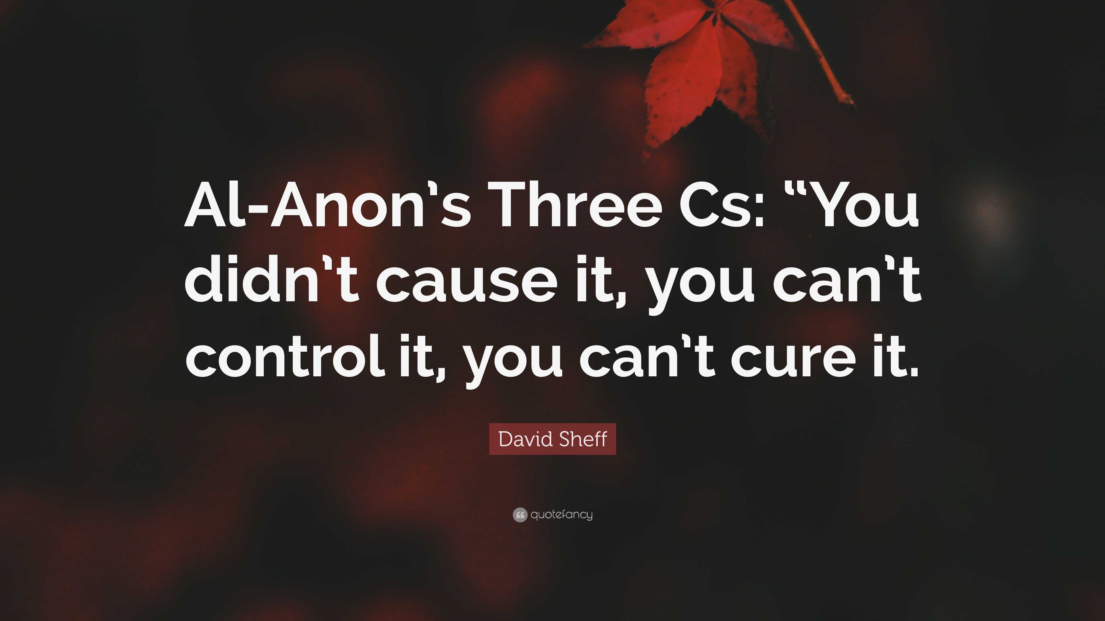 David Sheff Quote: “Al-Anon’s Three Cs: “You didn’t cause it, you can’t ...