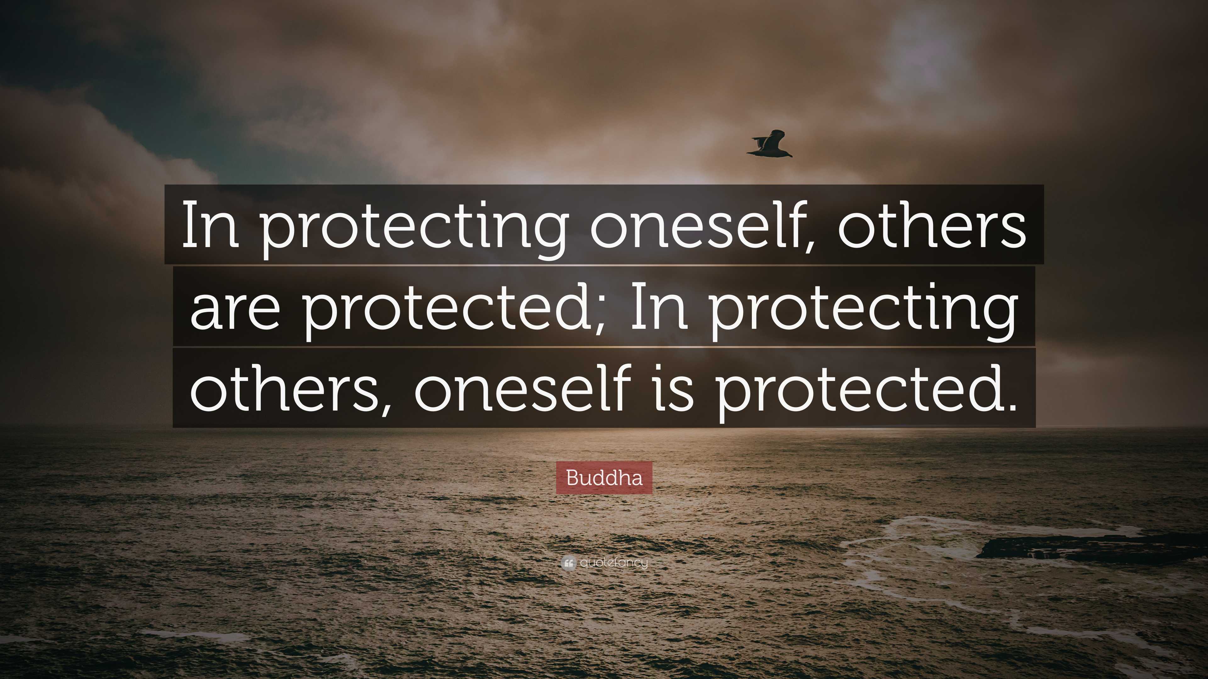 Buddha Quote: “In protecting oneself, others are protected; In ...