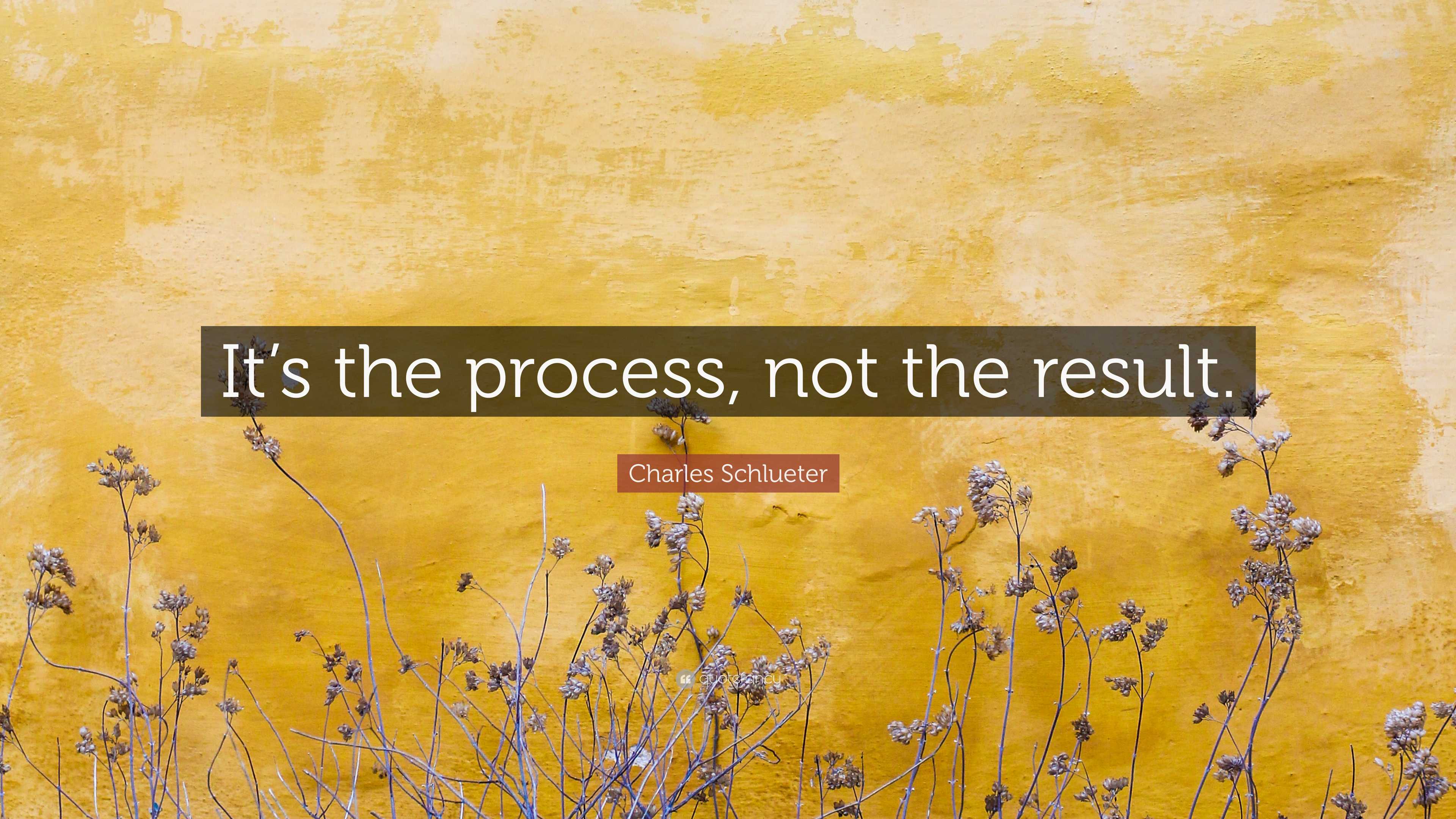 Charles Schlueter Quote: “It’s the process, not the result.”