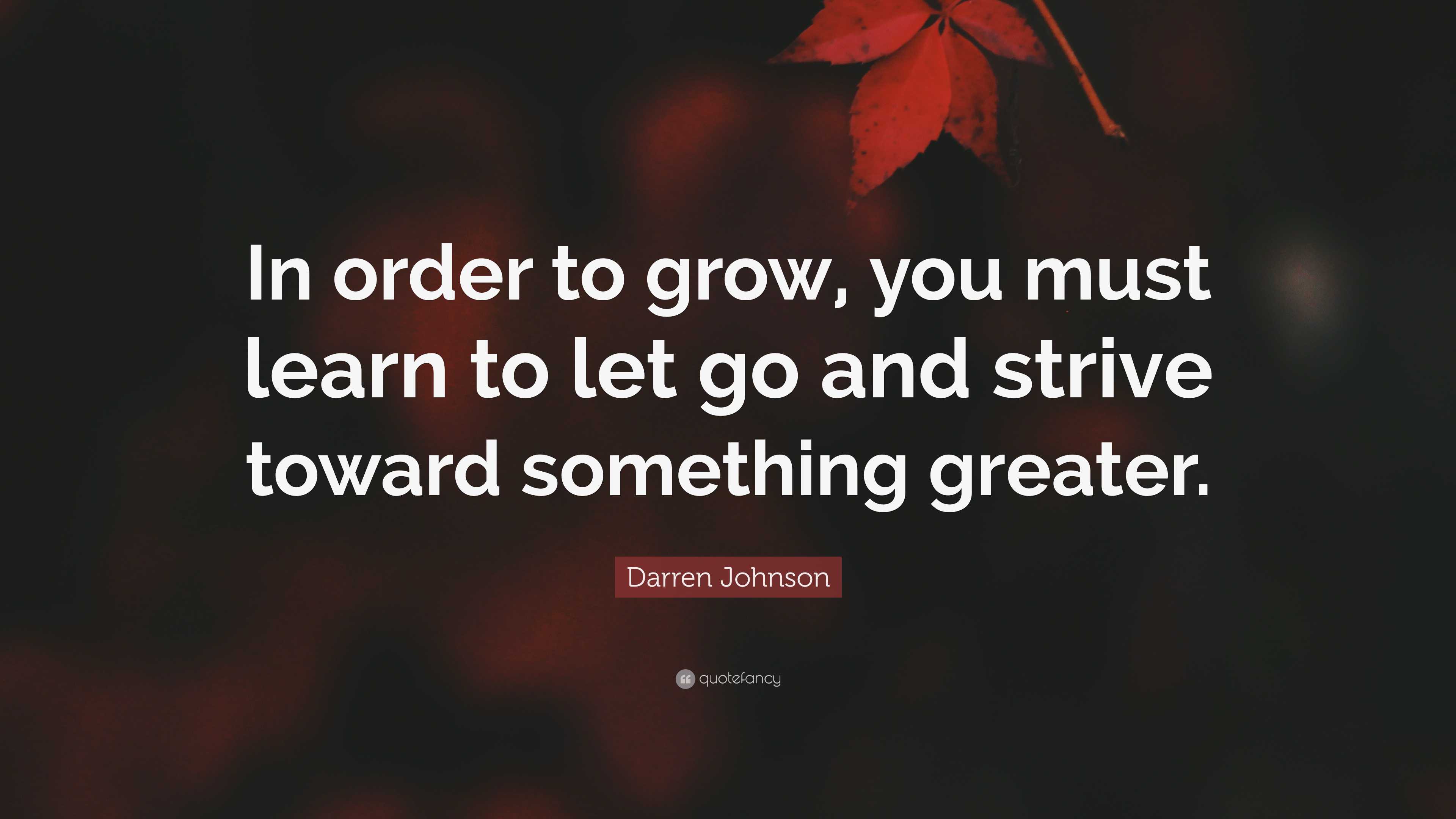 Darren Johnson Quote: “In order to grow, you must learn to let go and ...