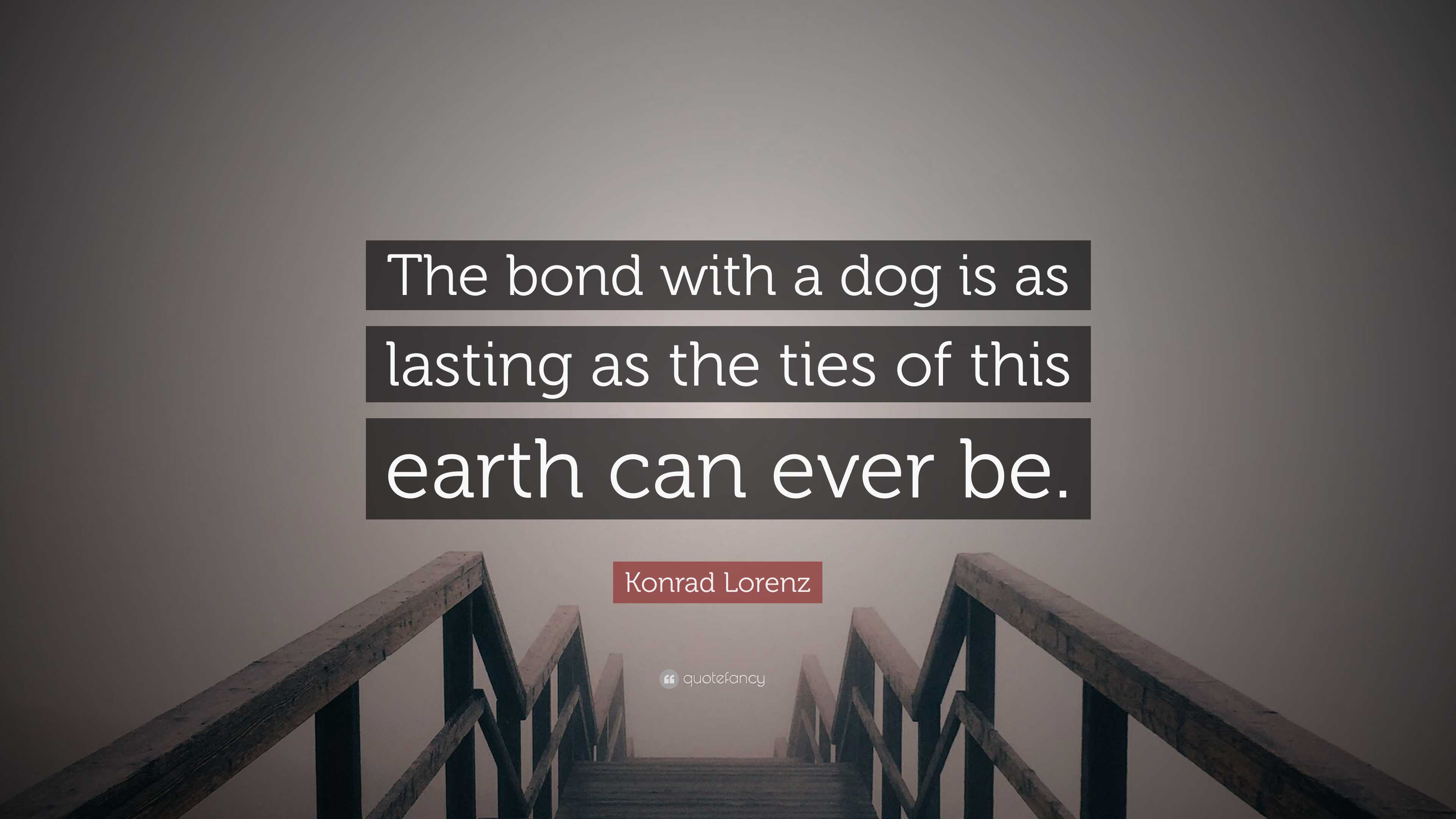 Konrad Lorenz Quote: “The bond with a dog is as lasting as the ties of ...