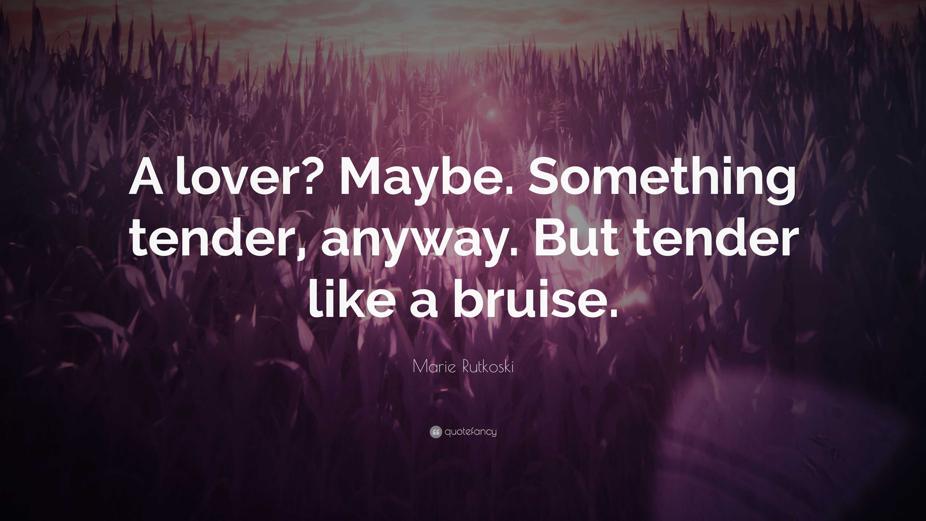 Marie Rutkoski Quote: “A lover? Maybe. Something tender, anyway. But ...