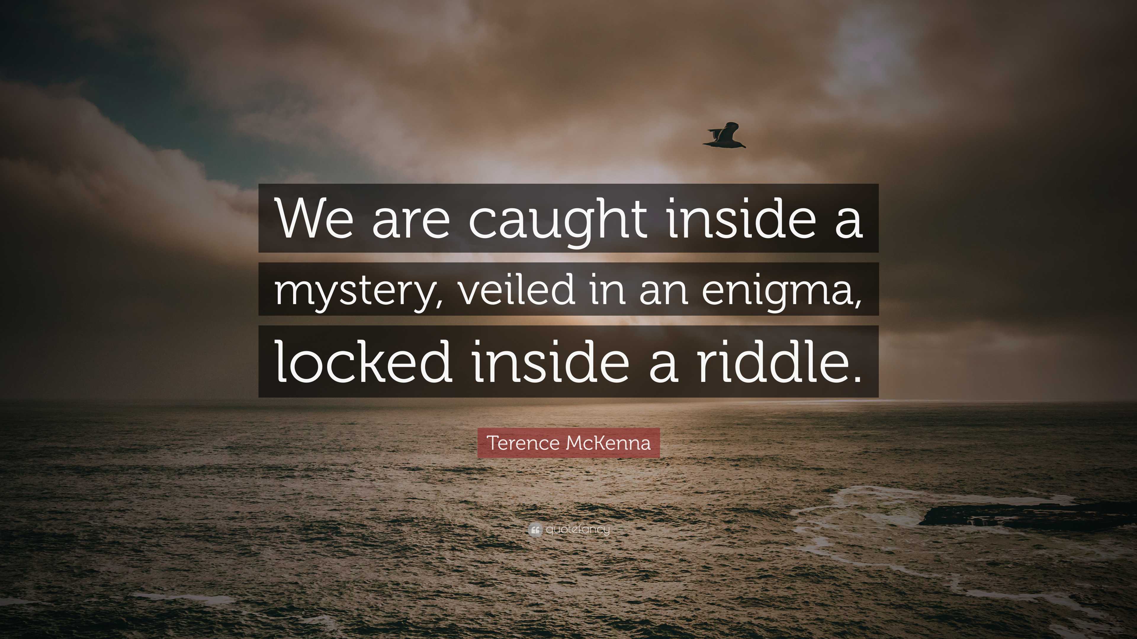 Terence McKenna Quote: “We are caught inside a mystery, veiled in an ...