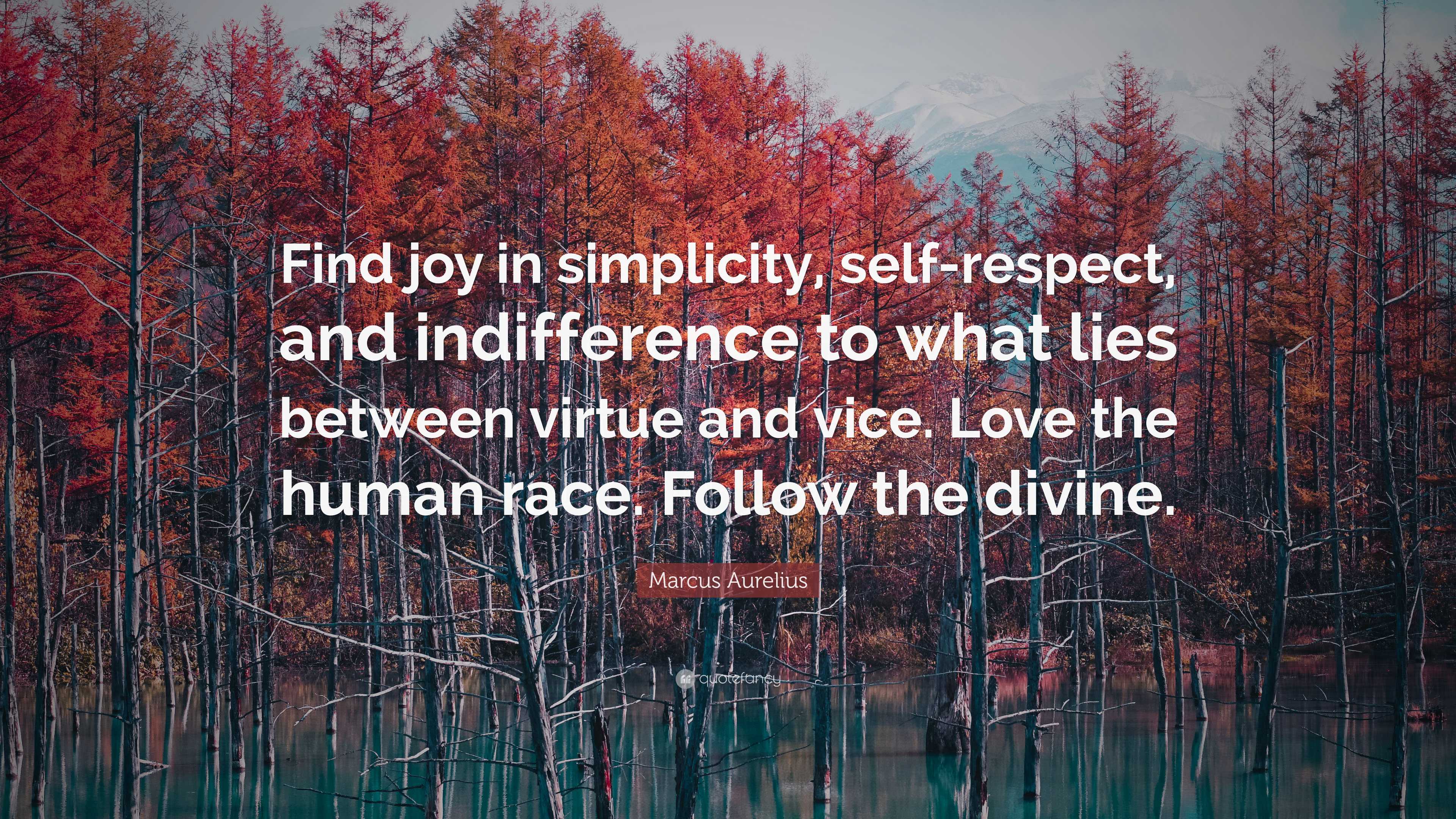 Marcus Aurelius Quote: “Find joy in simplicity, self-respect, and ...