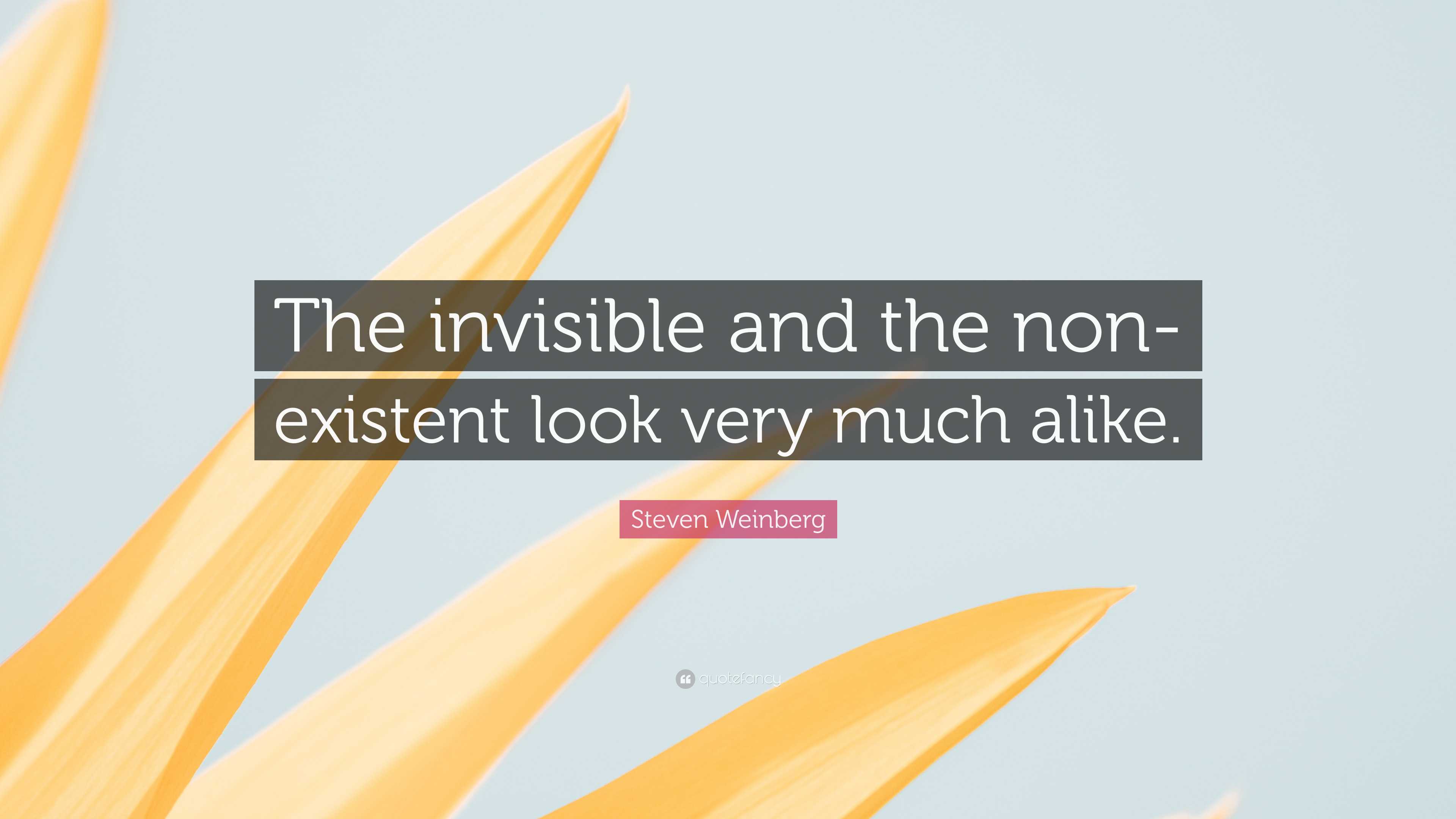 Steven Weinberg Quote: “The invisible and the non-existent look very ...