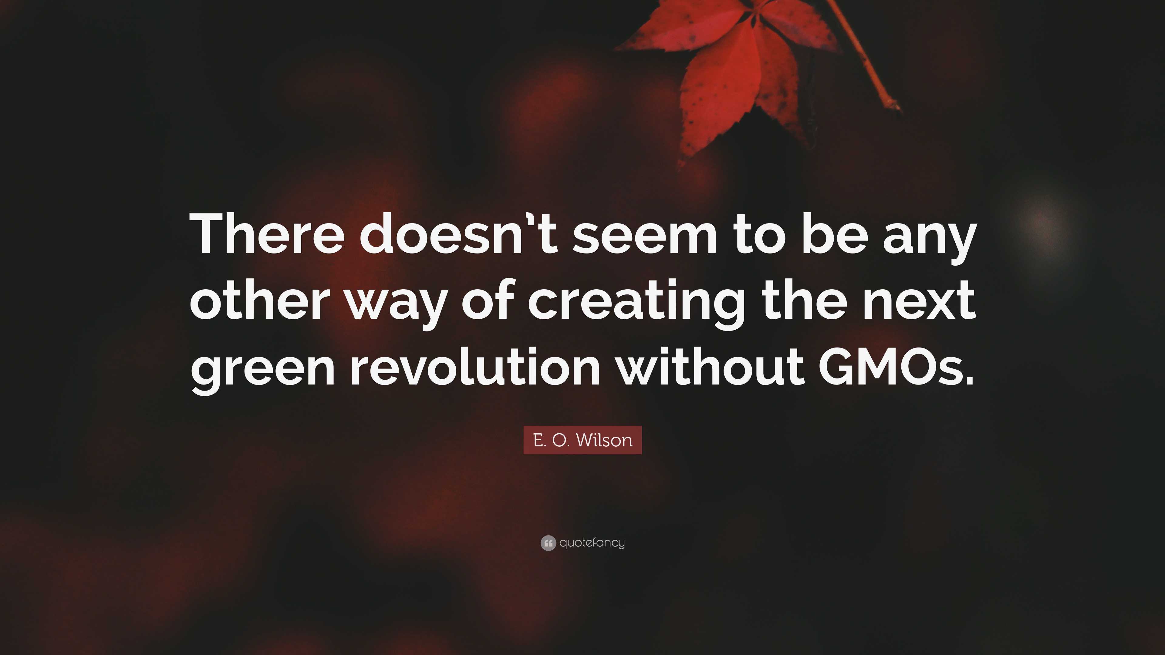 E. O. Wilson Quote: “There doesn’t seem to be any other way of creating ...