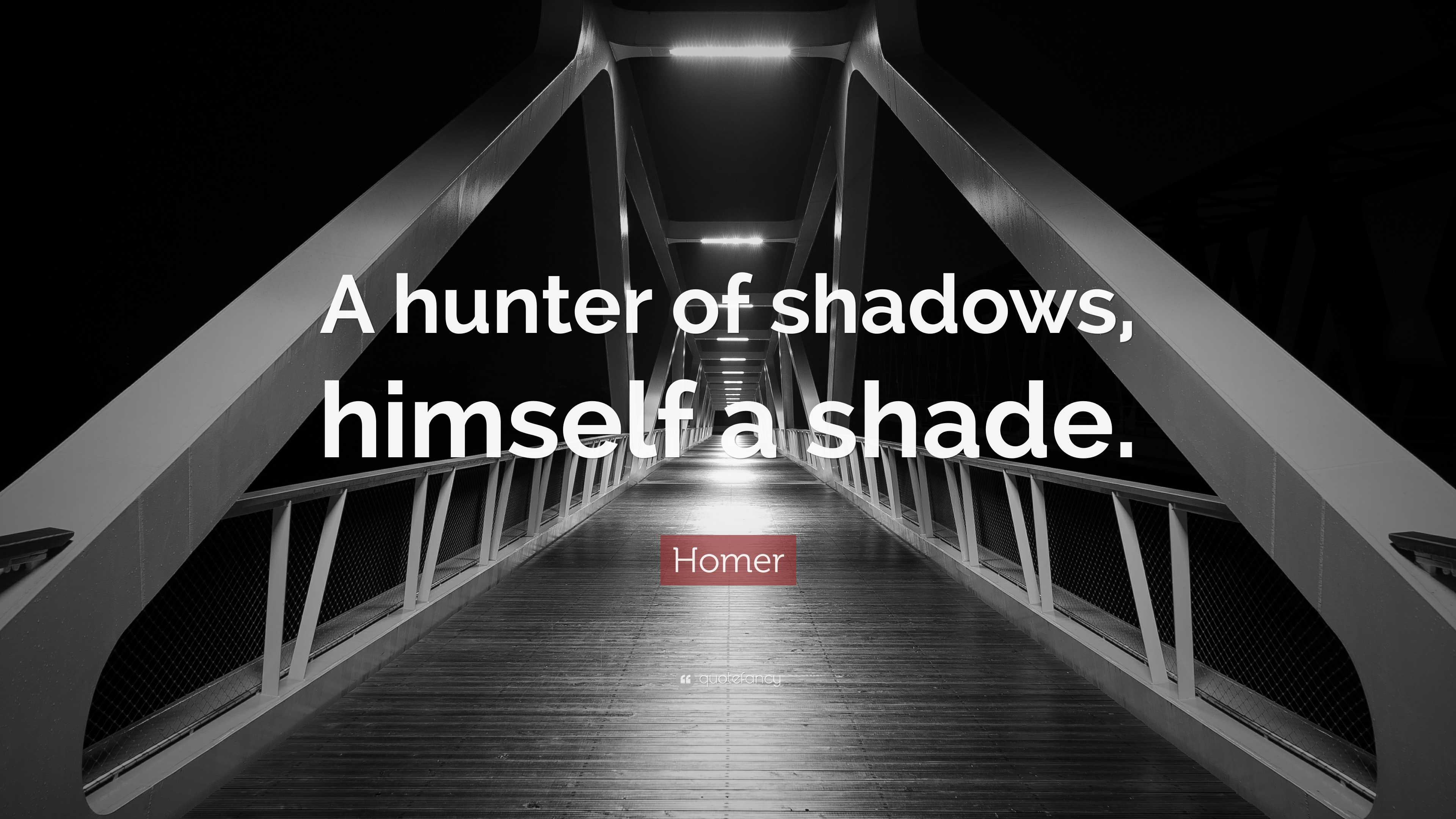 Homer Quote: “A hunter of shadows, himself a shade.”