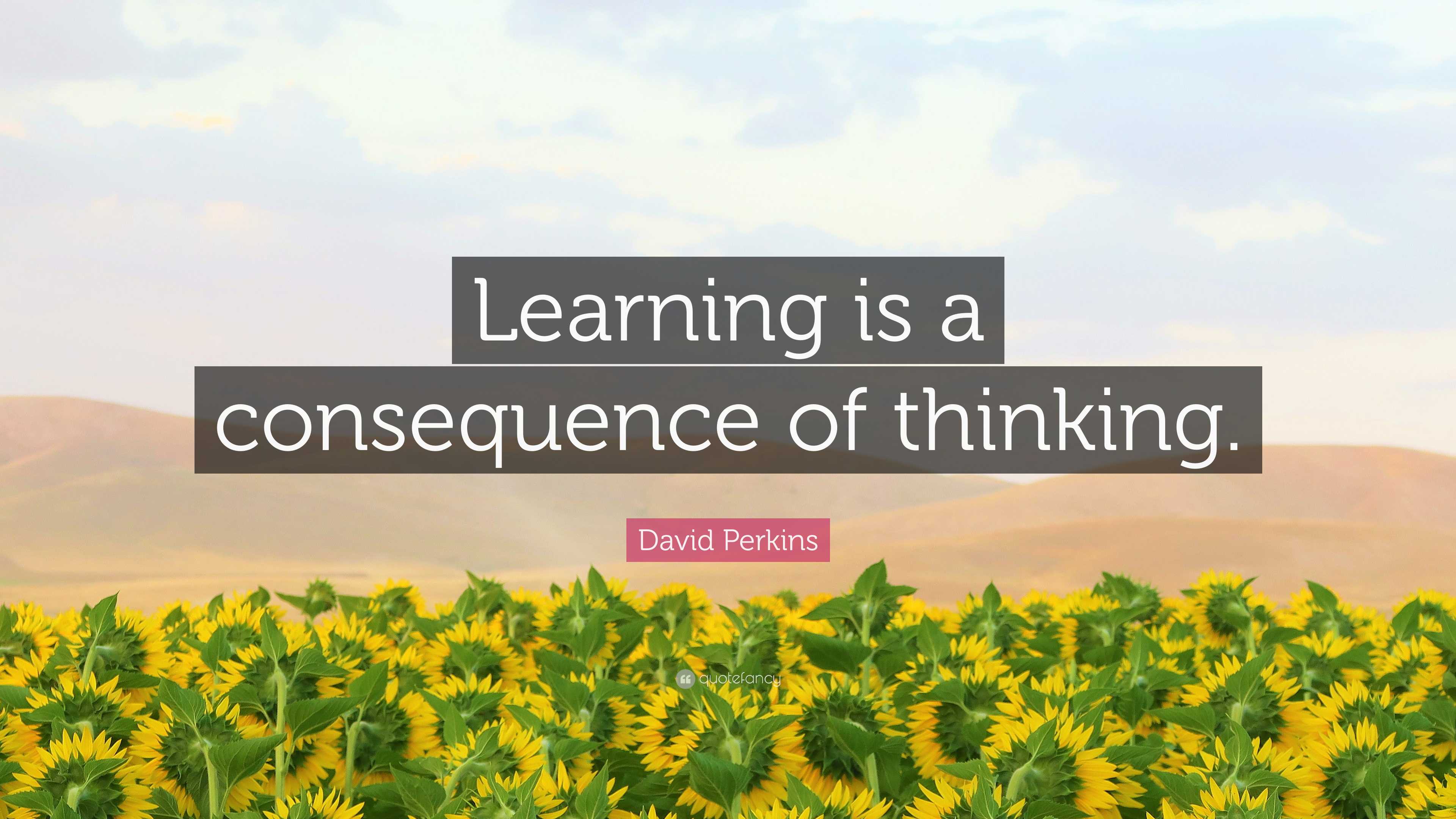 David Perkins Quote: “Learning is a consequence of thinking.”