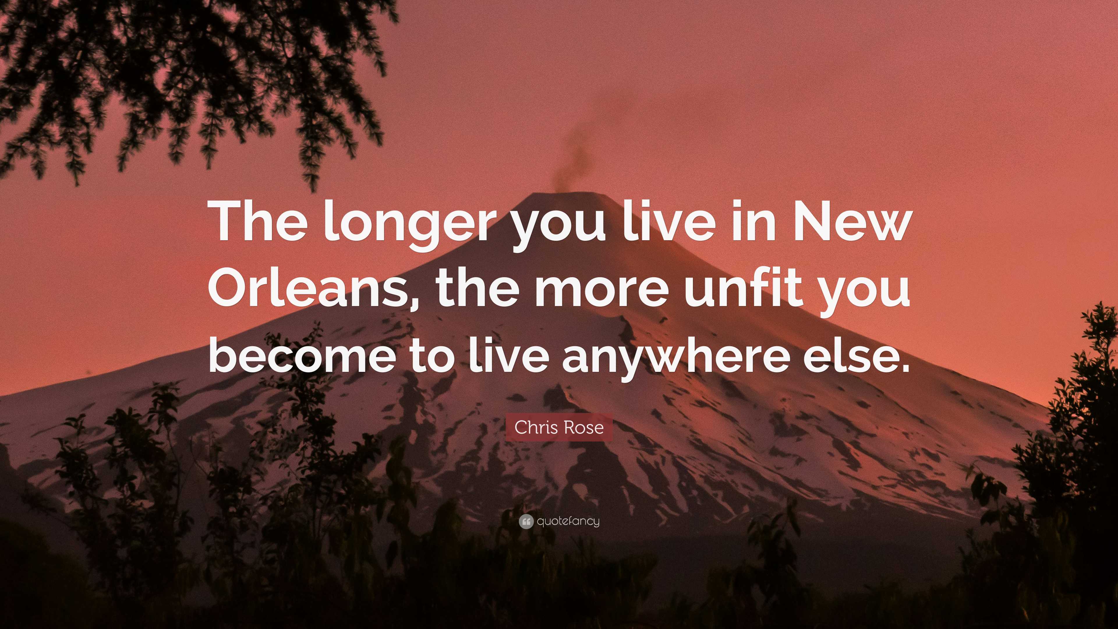 Chris Rose Quote: “The longer you live in New Orleans, the more unfit ...