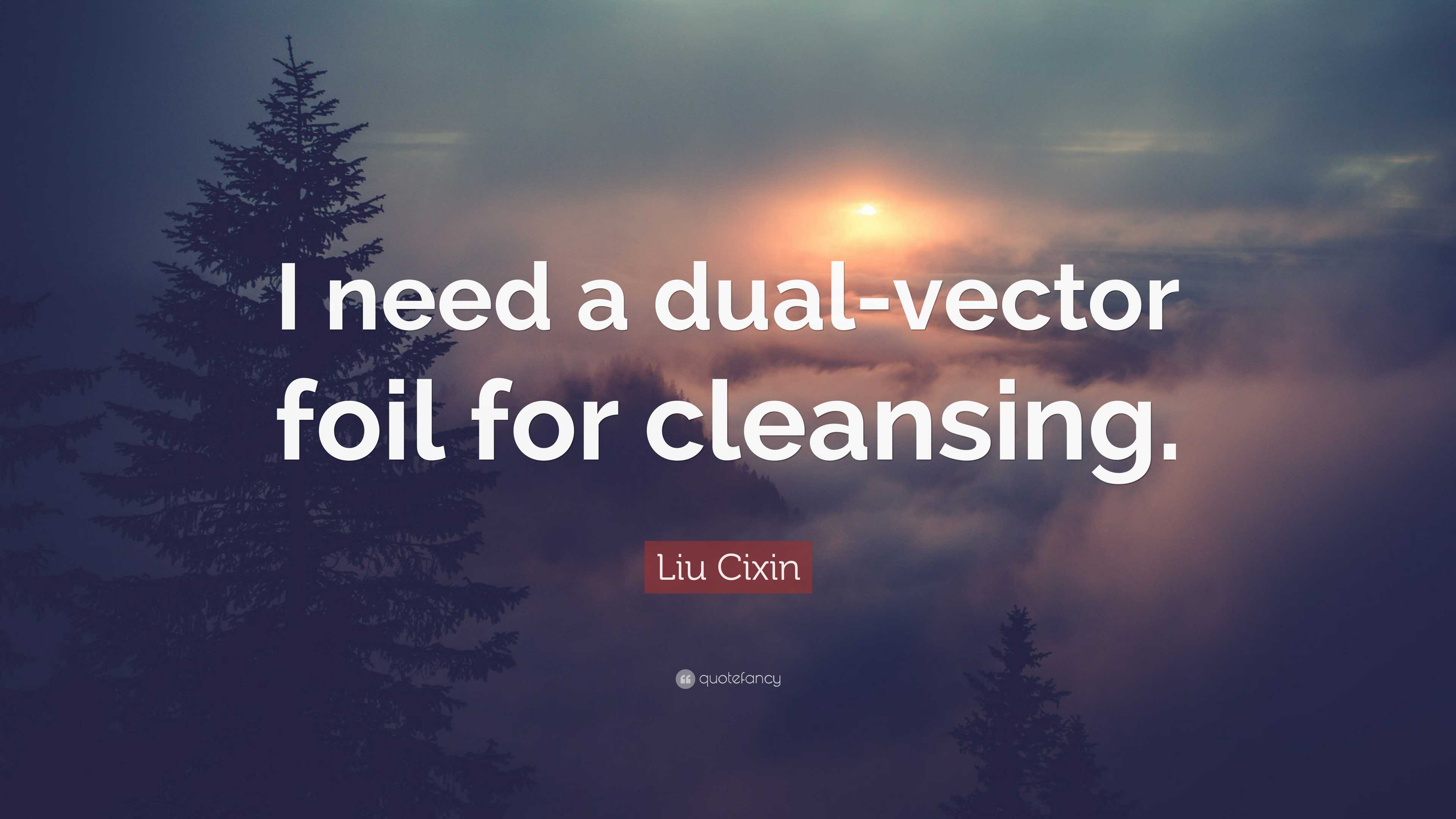Liu Cixin Quote: “I need a dual-vector foil for cleansing.”