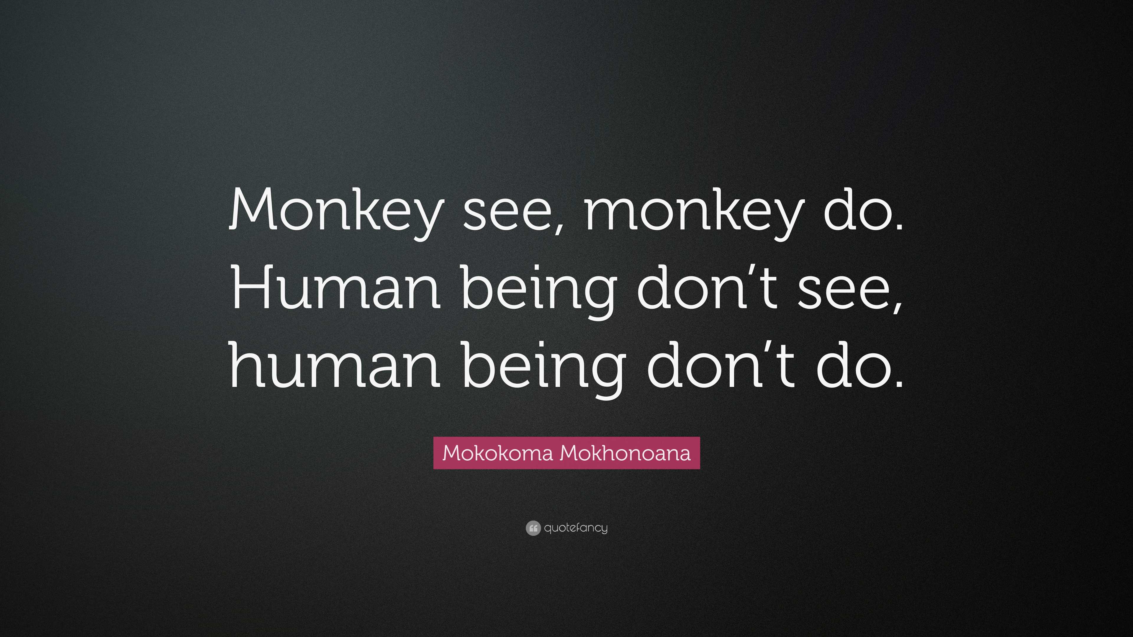 Code Monkeys Quotes