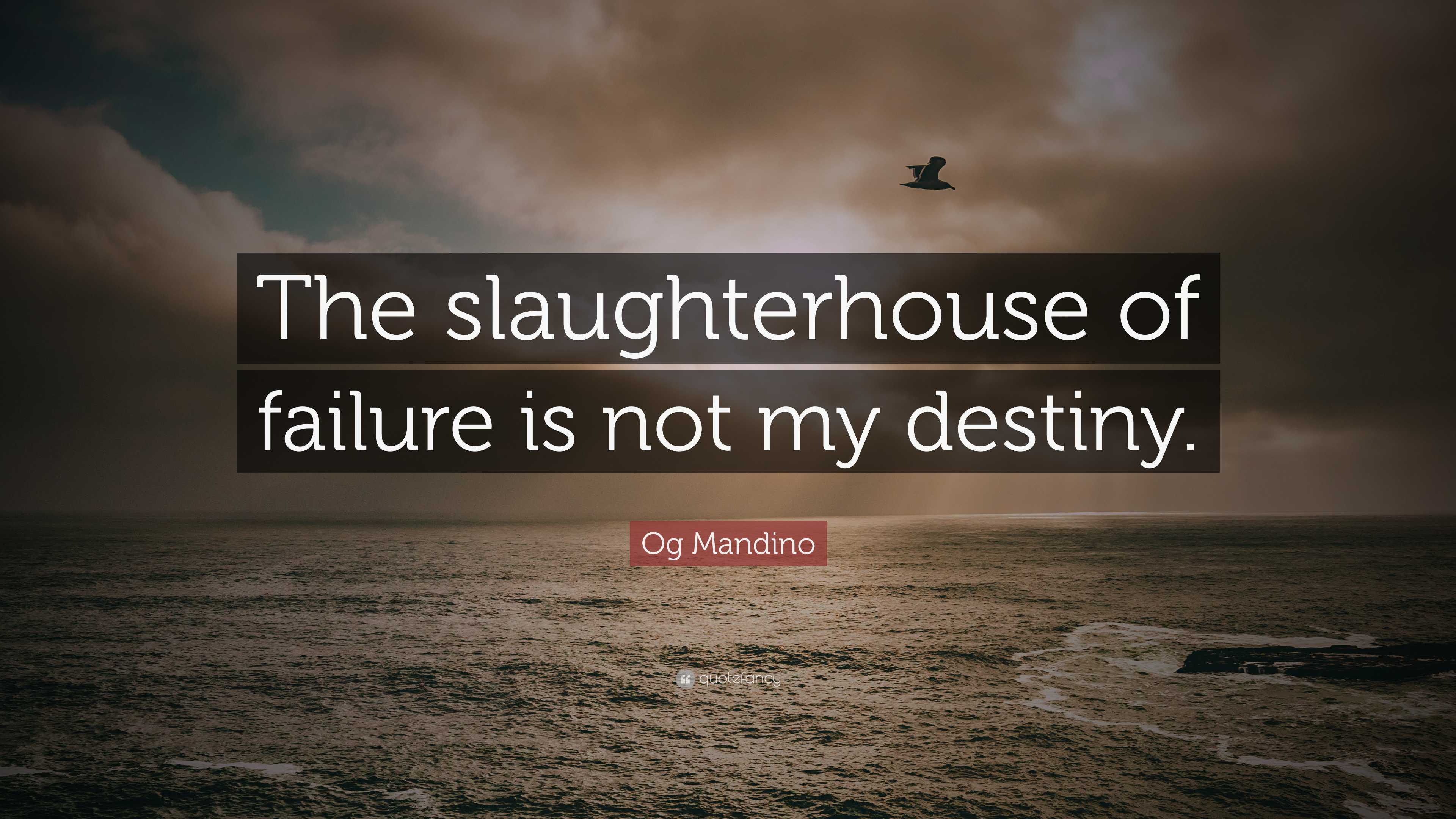 Og Mandino Quote: “The slaughterhouse of failure is not my destiny.”