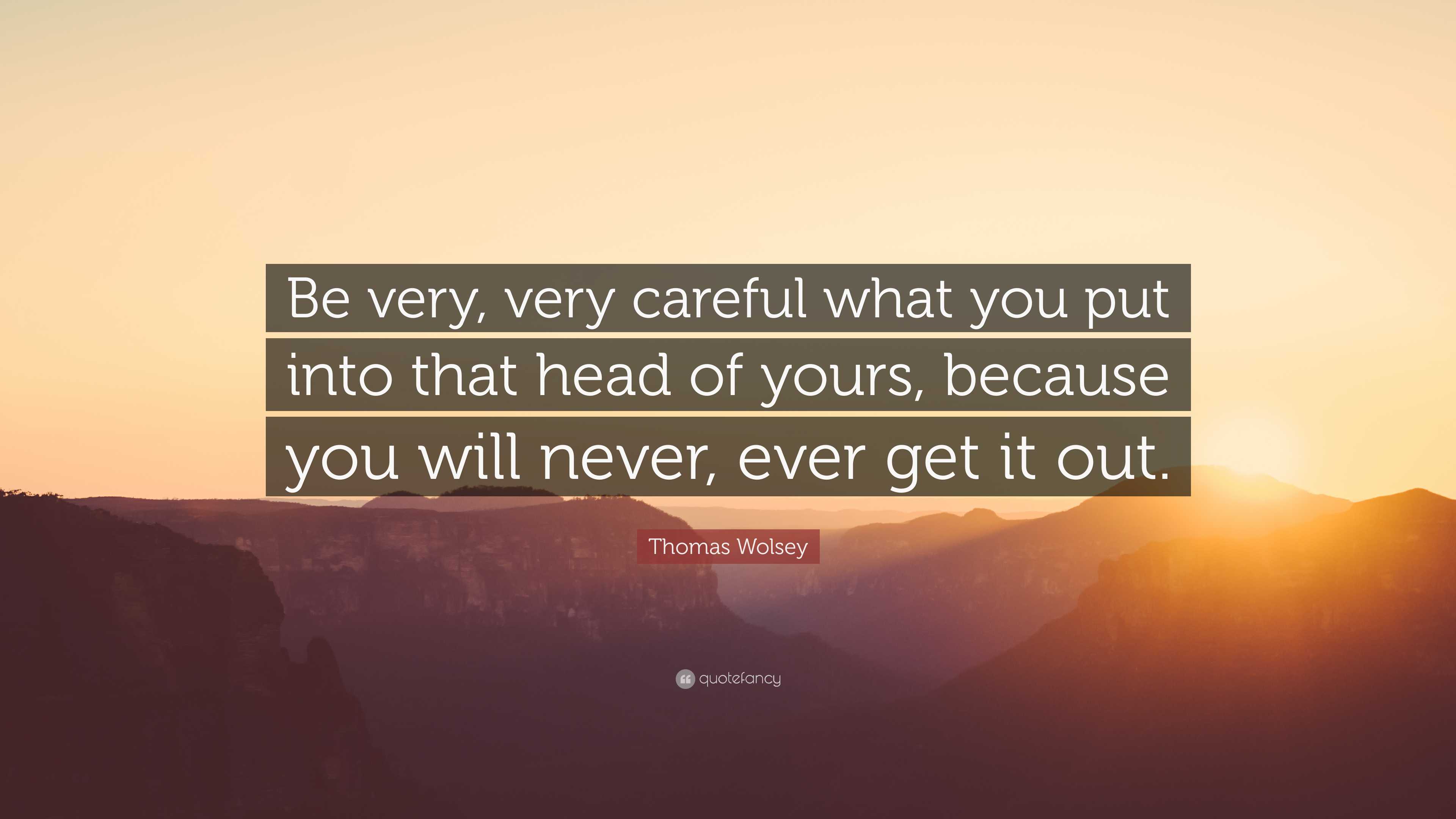 Thomas Wolsey Quote: “Be very, very careful what you put into that head ...