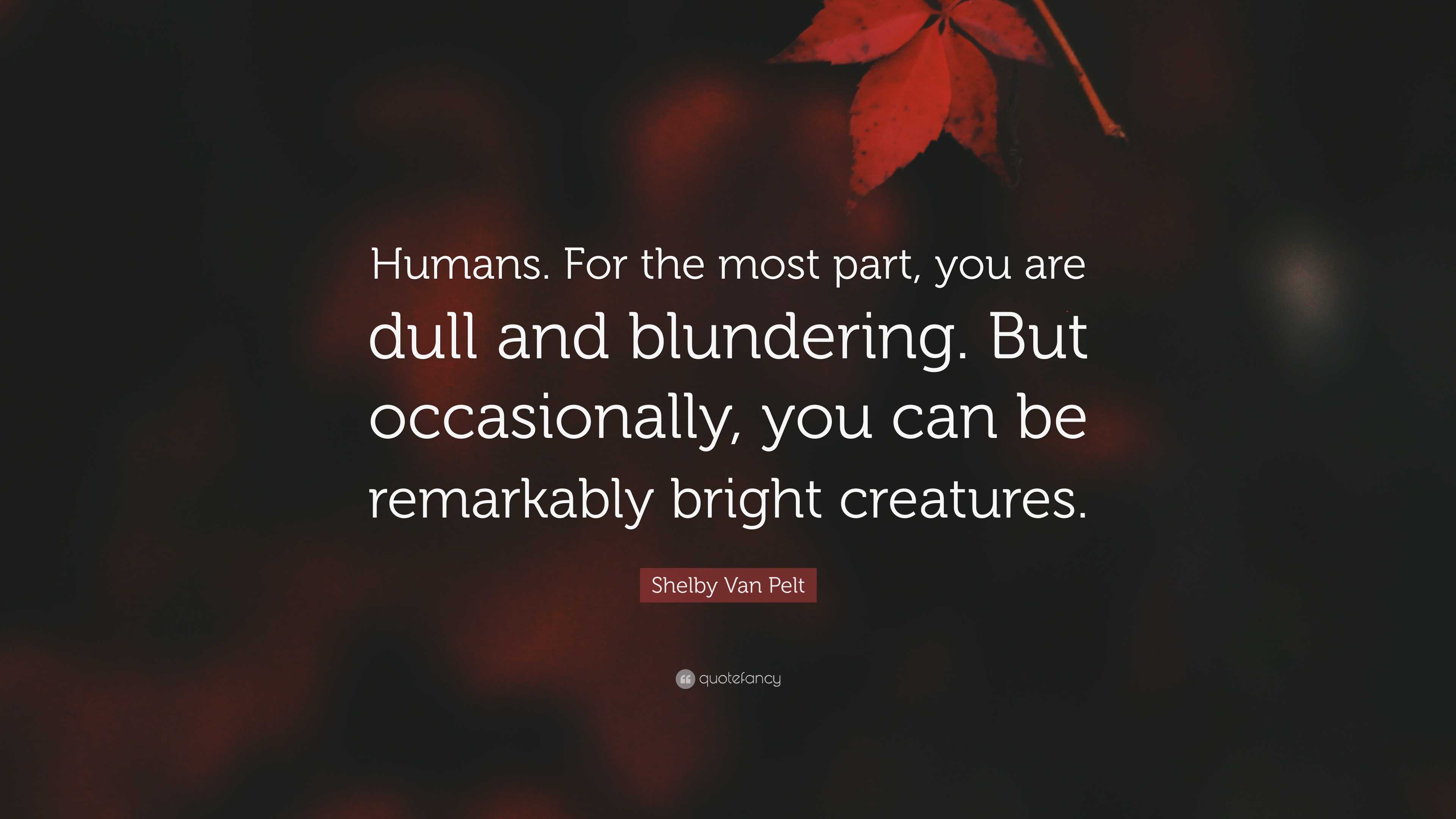 Shelby Van Pelt Quote: “Humans. For the most part, you are dull and ...