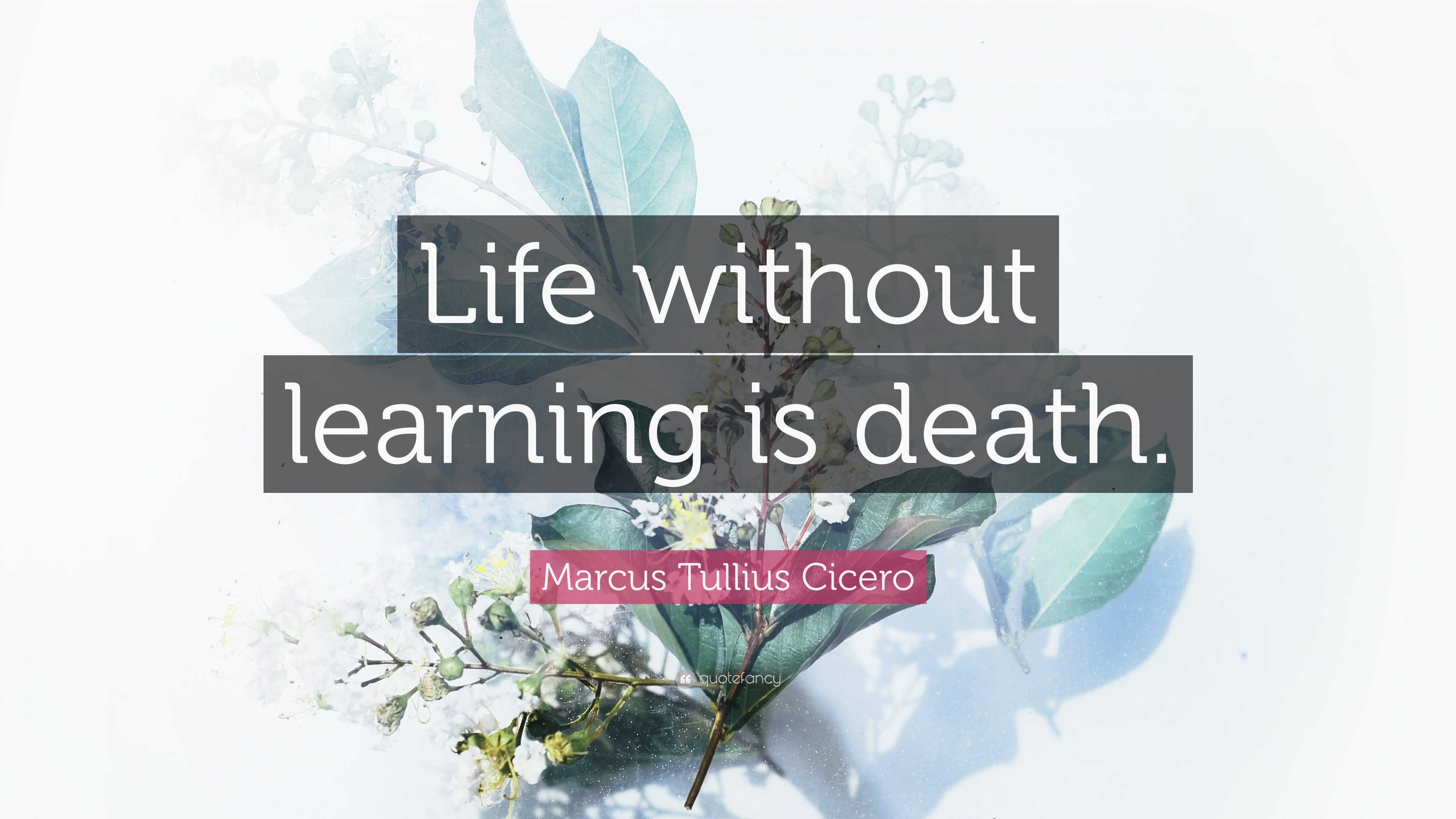 Marcus Tullius Cicero Quote: “Life without learning is death.”