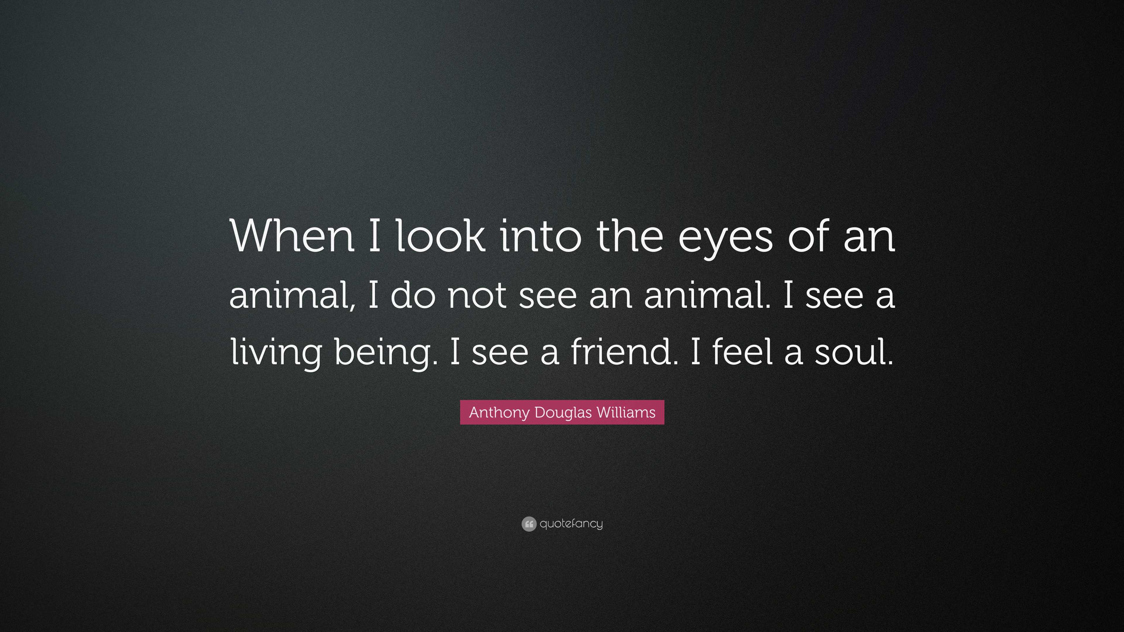 Anthony Douglas Williams Quote: “When I look into the eyes of an animal ...