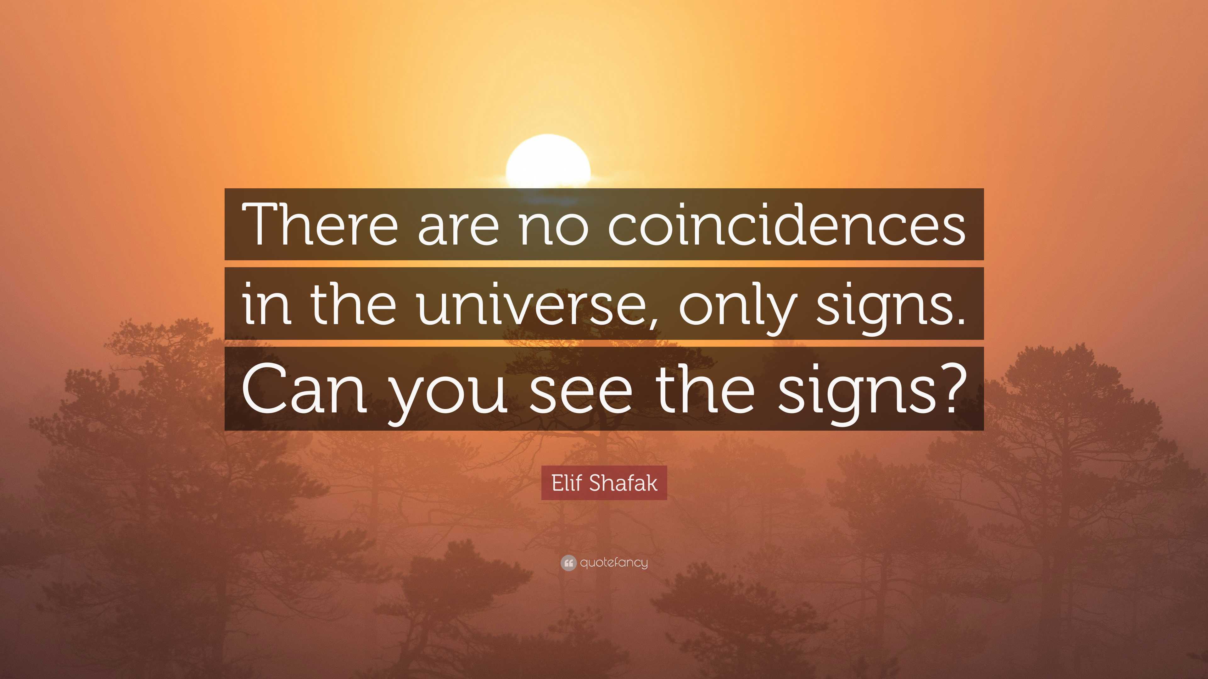 Elif Shafak Quote: “There are no coincidences in the universe, only ...