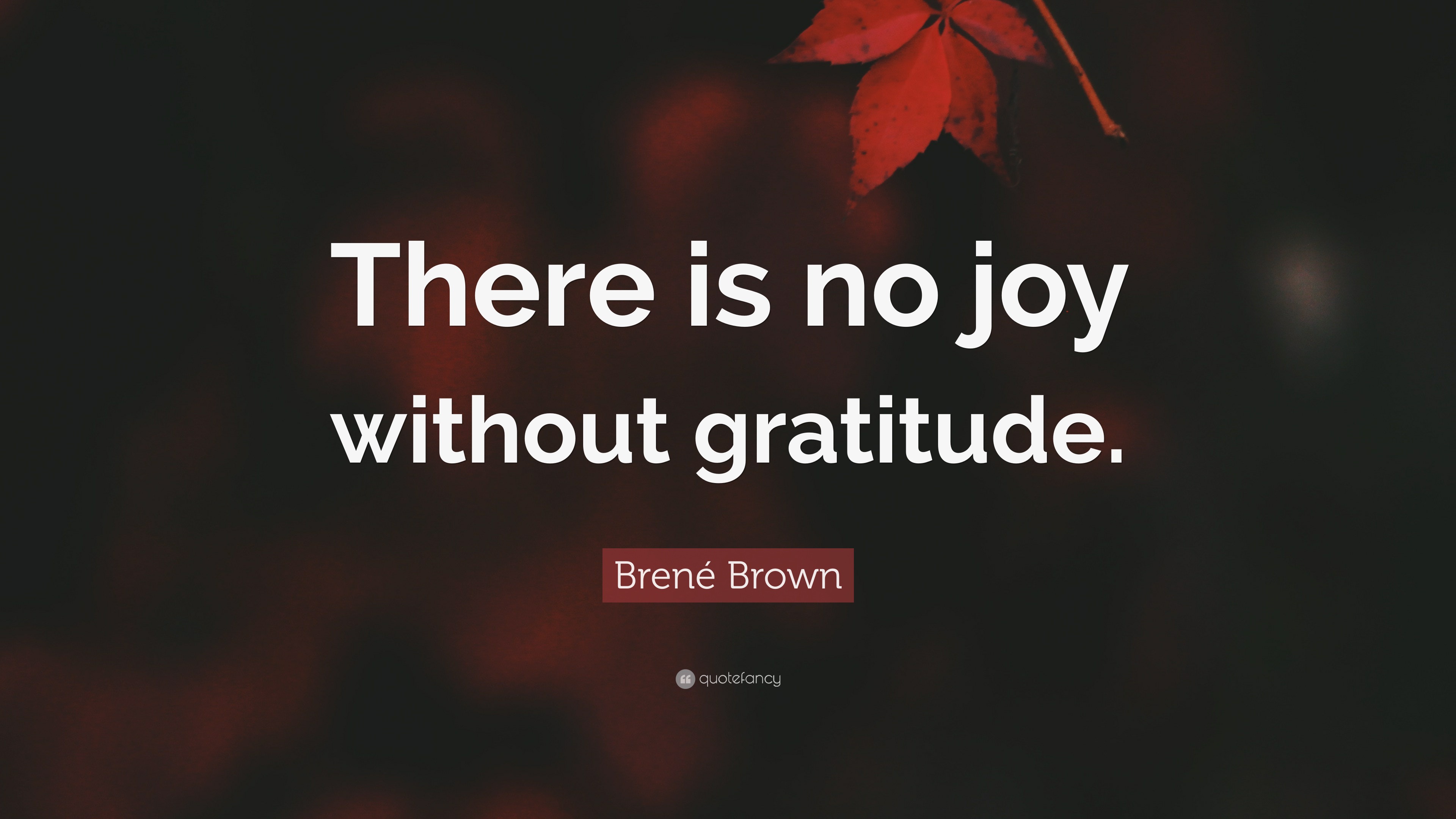 Brené Brown Quote: “There is no joy without gratitude.”