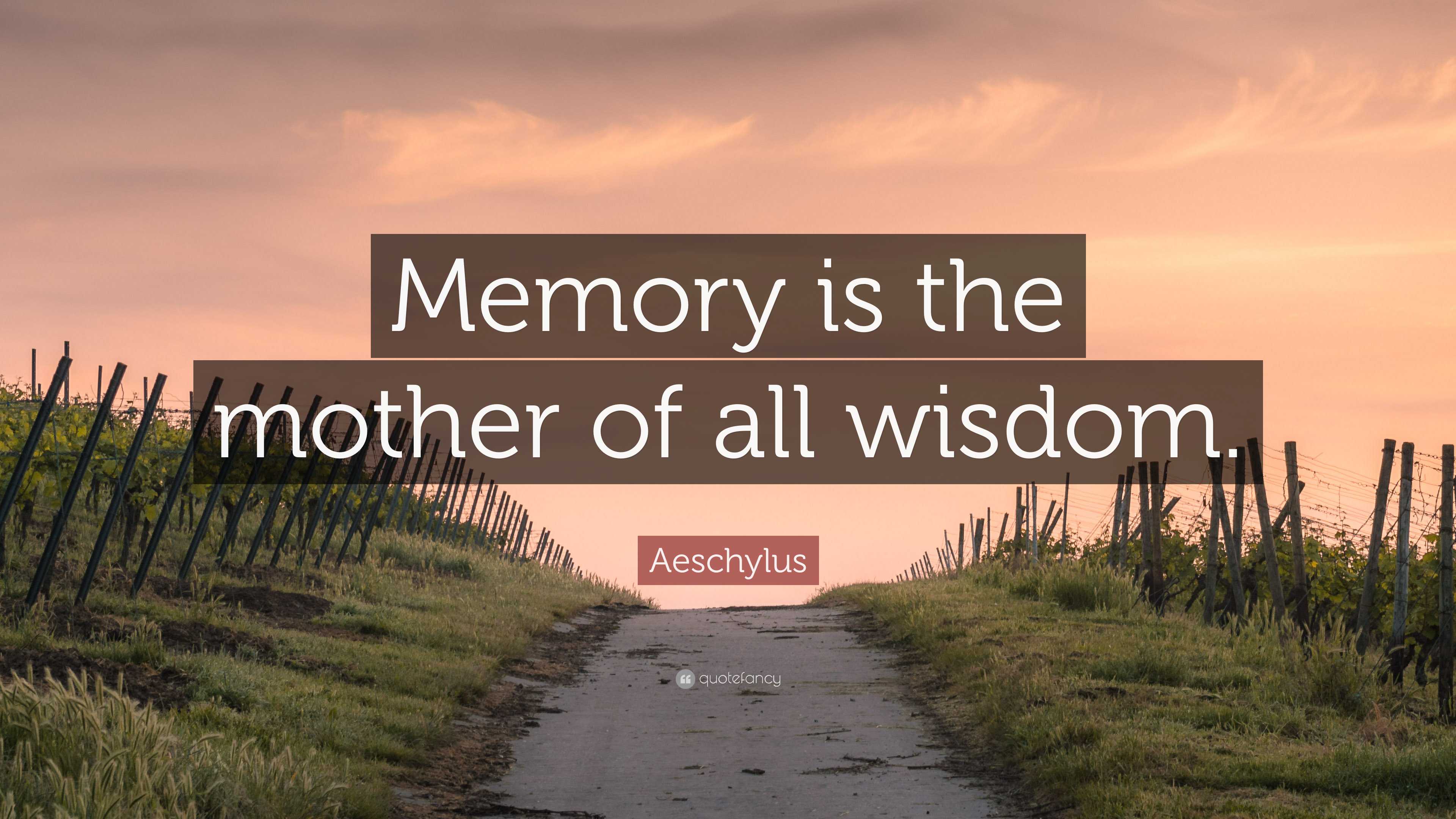 Aeschylus Quote: “Memory is the mother of all wisdom.”