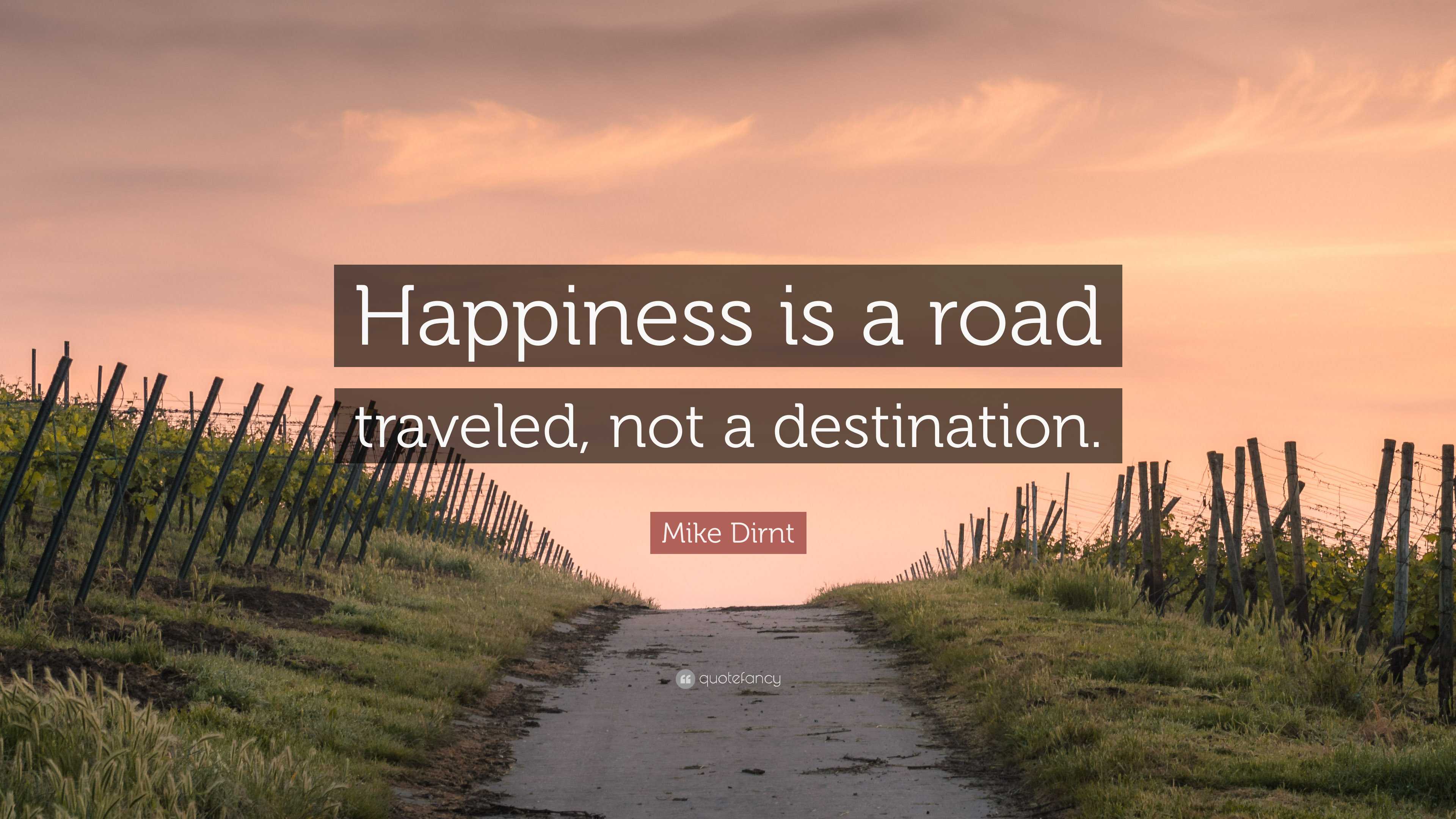 Mike Dirnt Quote: “Happiness is a road traveled, not a destination.”