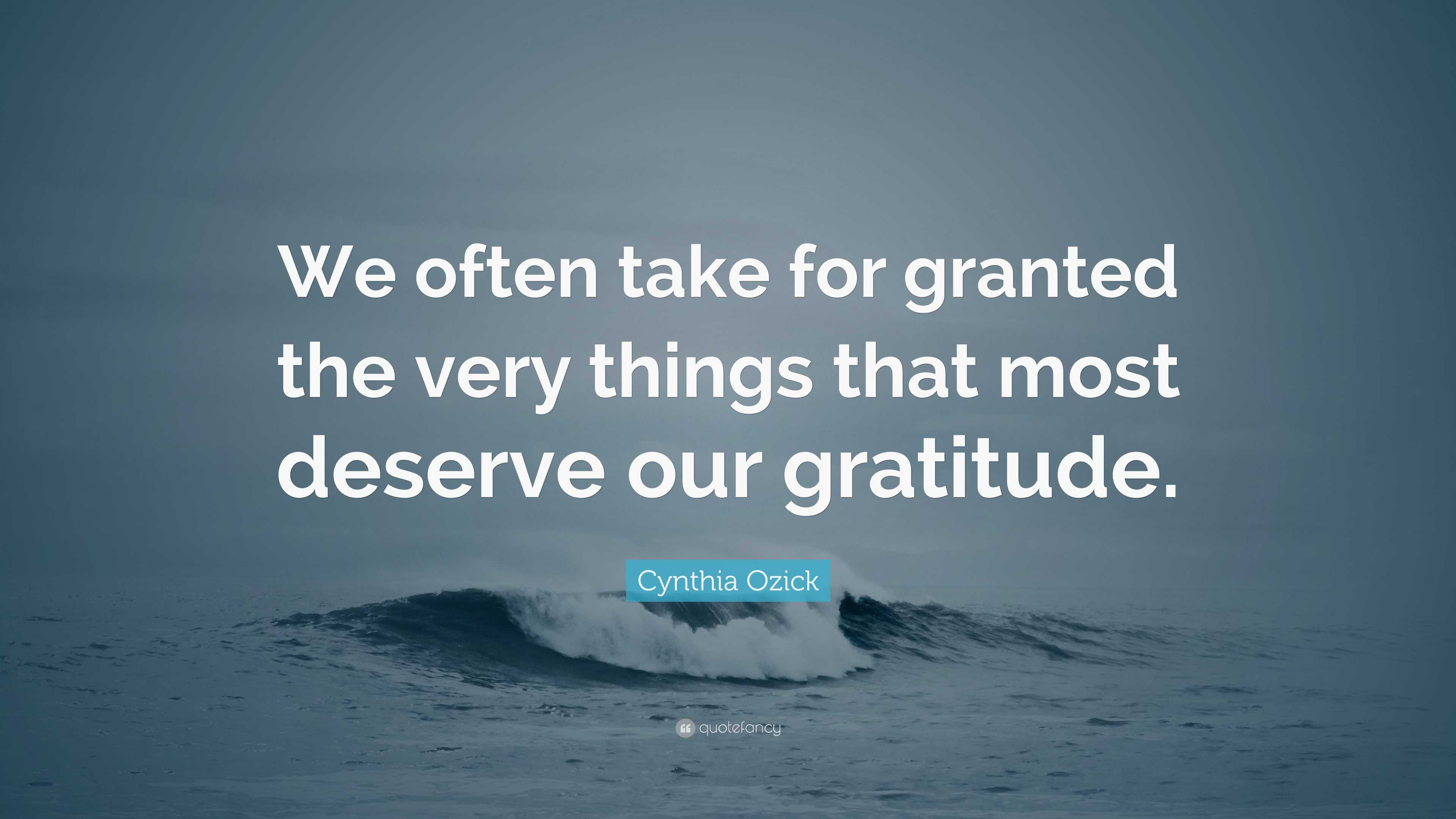 Cynthia Ozick Quote: “We often take for granted the very things that ...