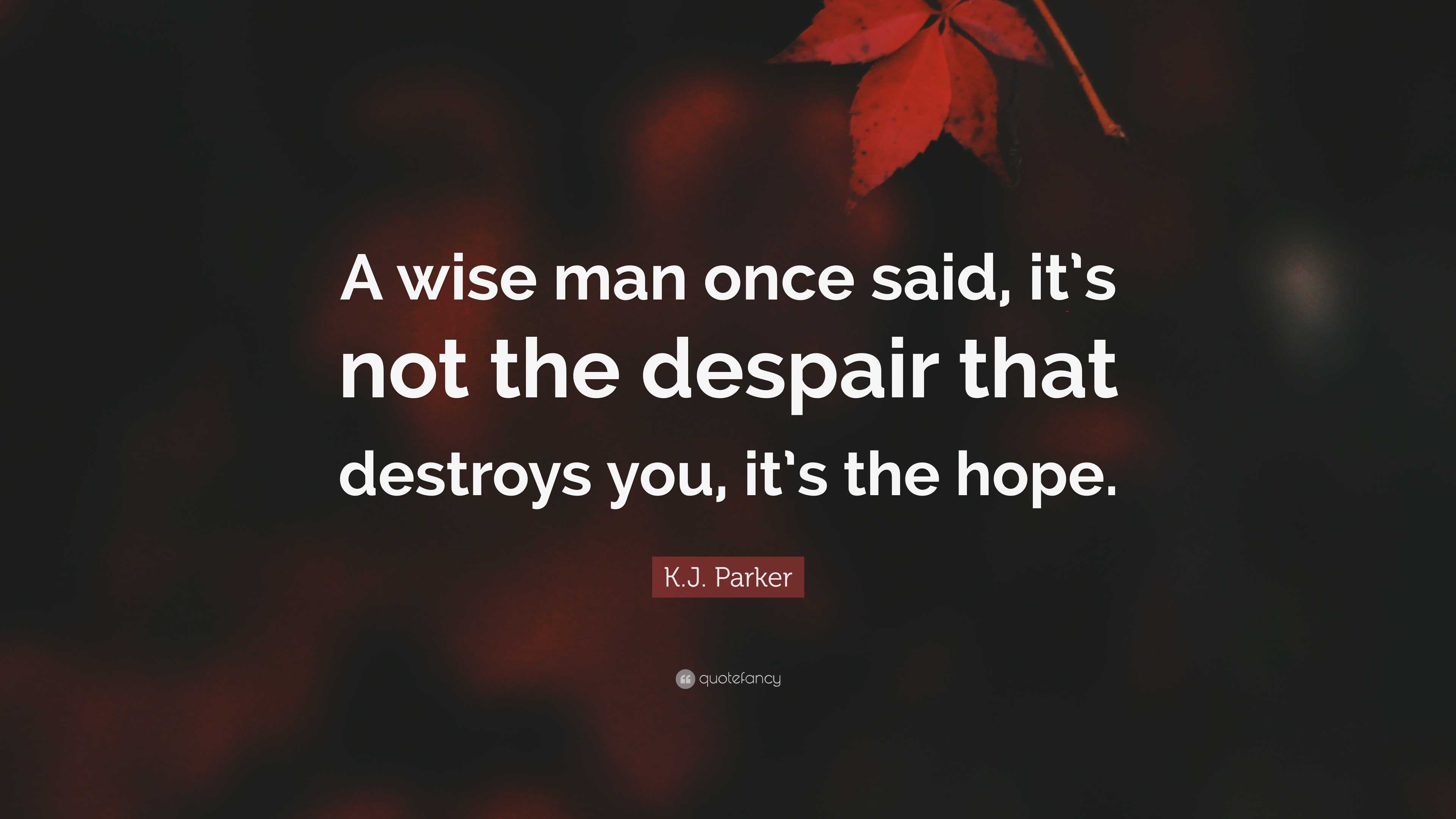 K.J. Parker Quote: “A wise man once said, it’s not the despair that destroys you, it’s the hope.”