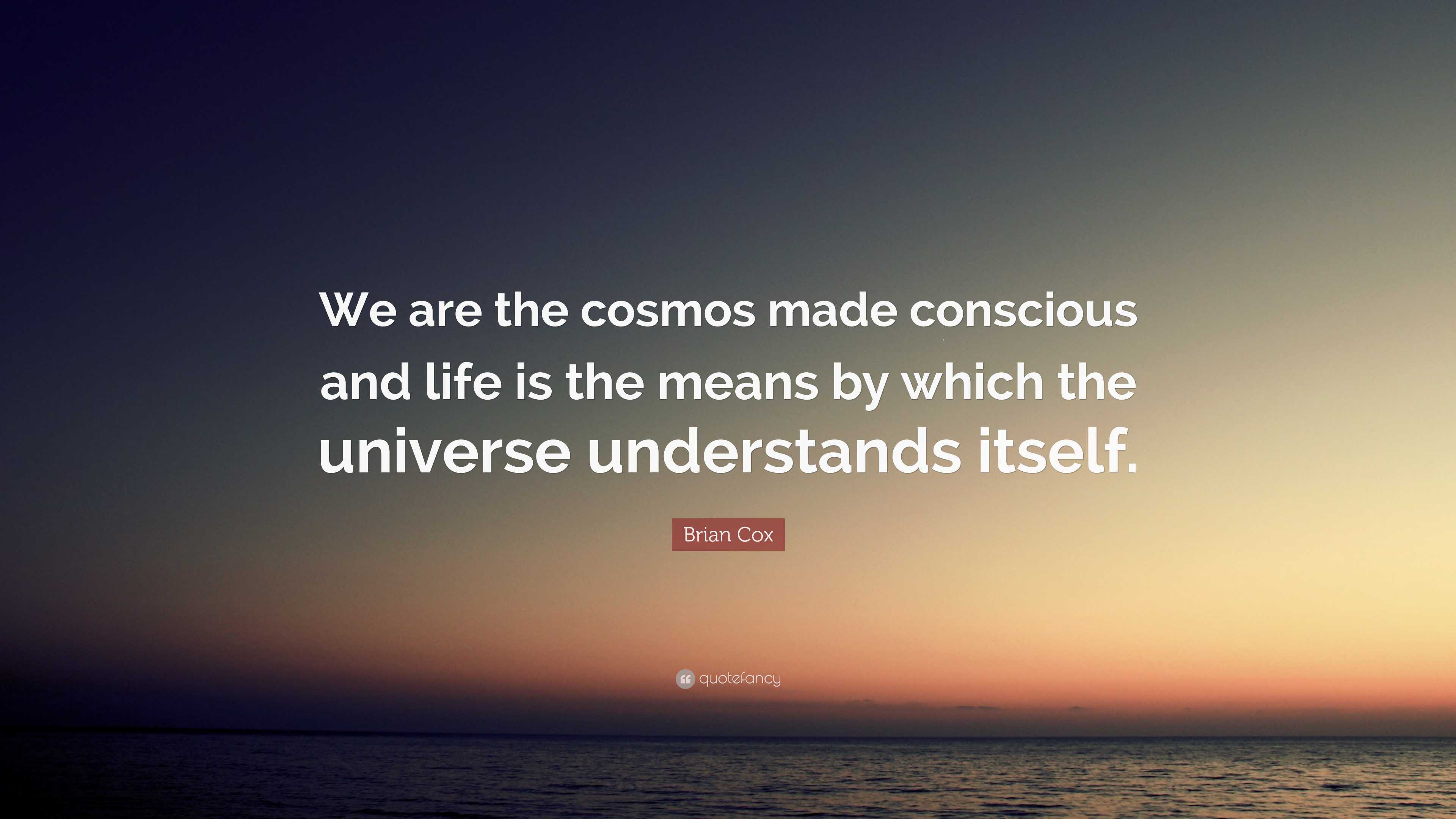 Brian Cox Quote: “We are the cosmos made conscious and life is the ...