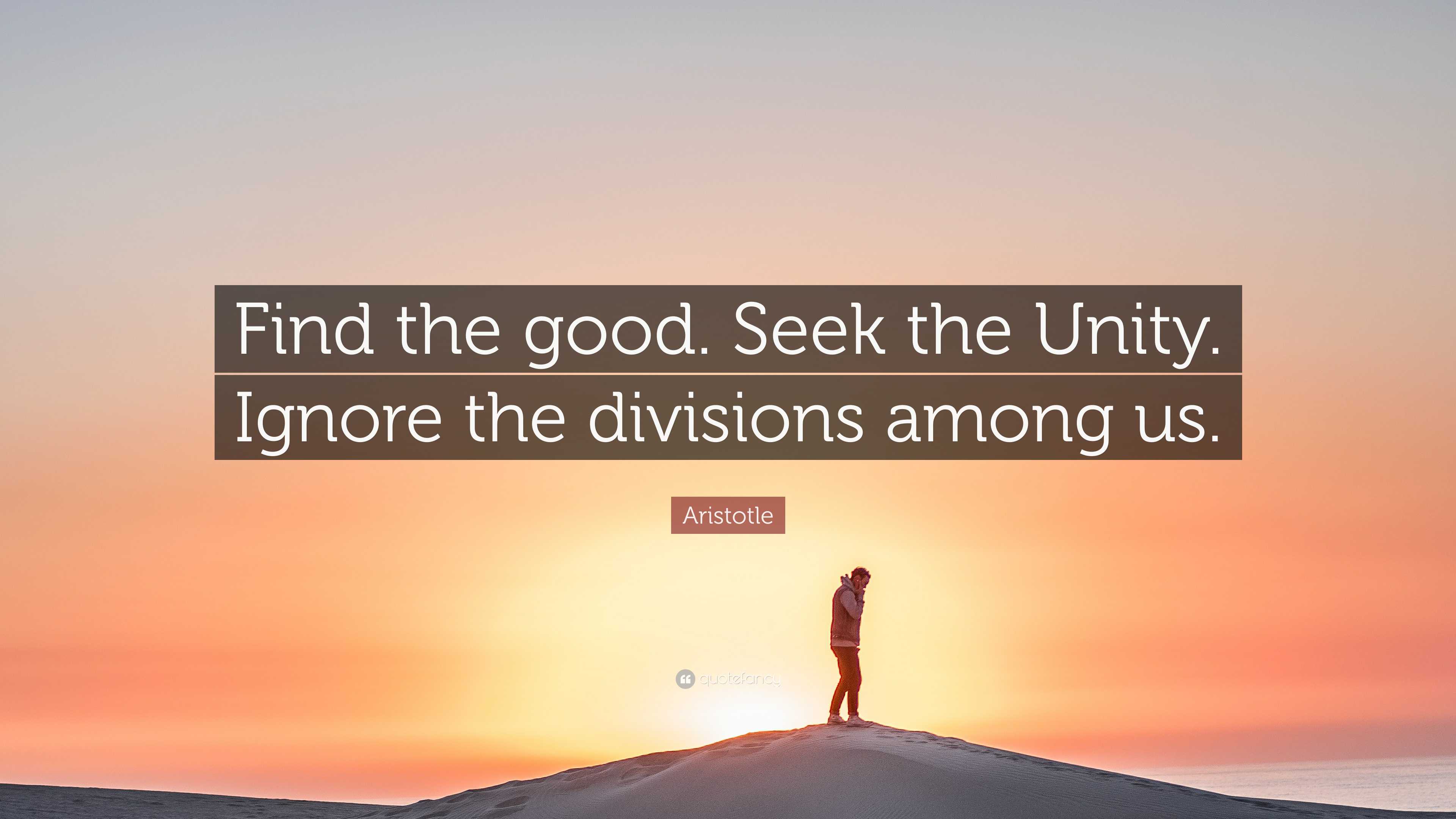 Aristotle Quote: “Find the good. Seek the Unity. Ignore the divisions ...