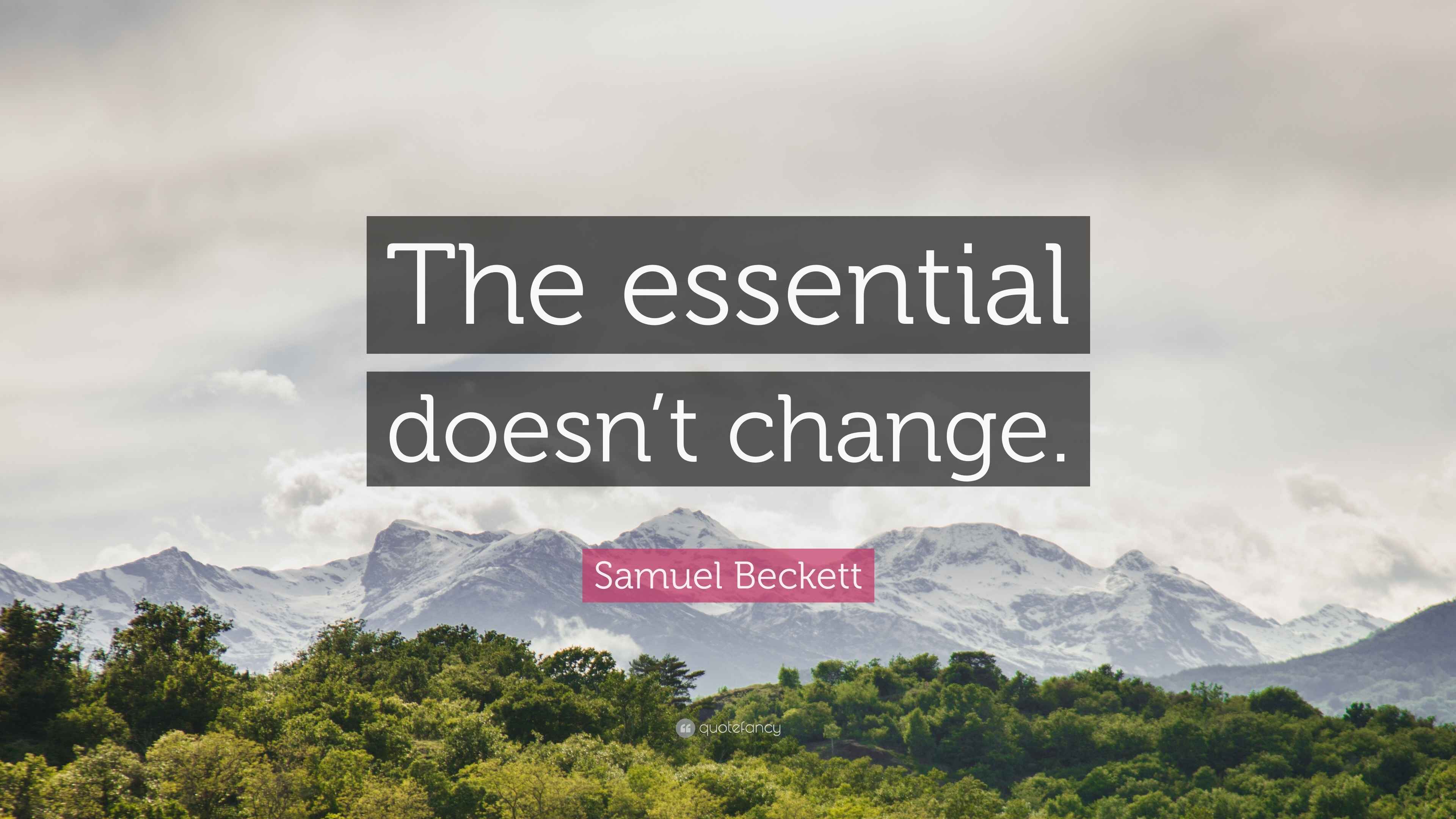 Samuel Beckett Quote: “The essential doesn’t change.”