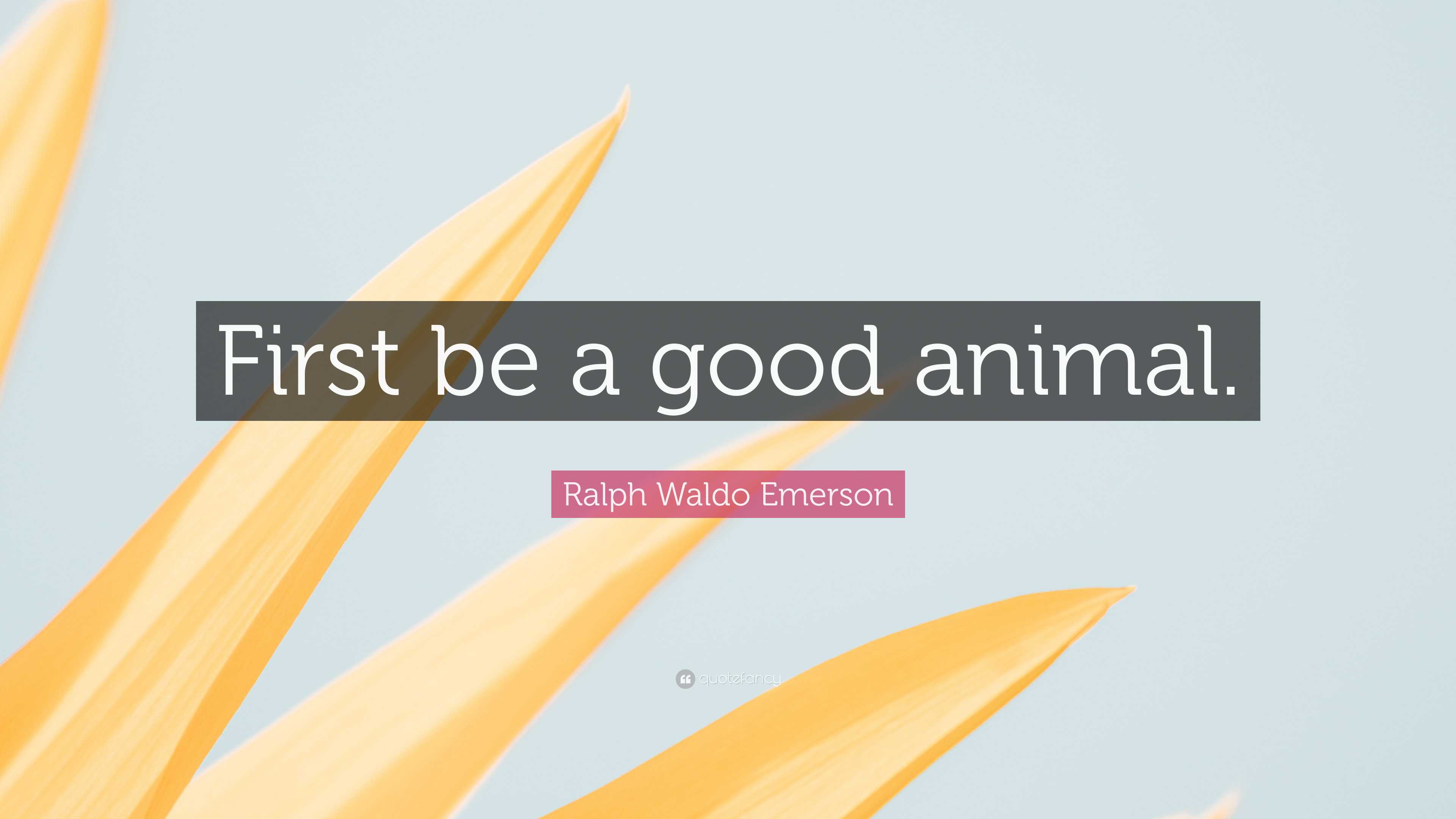 Ralph Waldo Emerson Quote: “First be a good animal.”