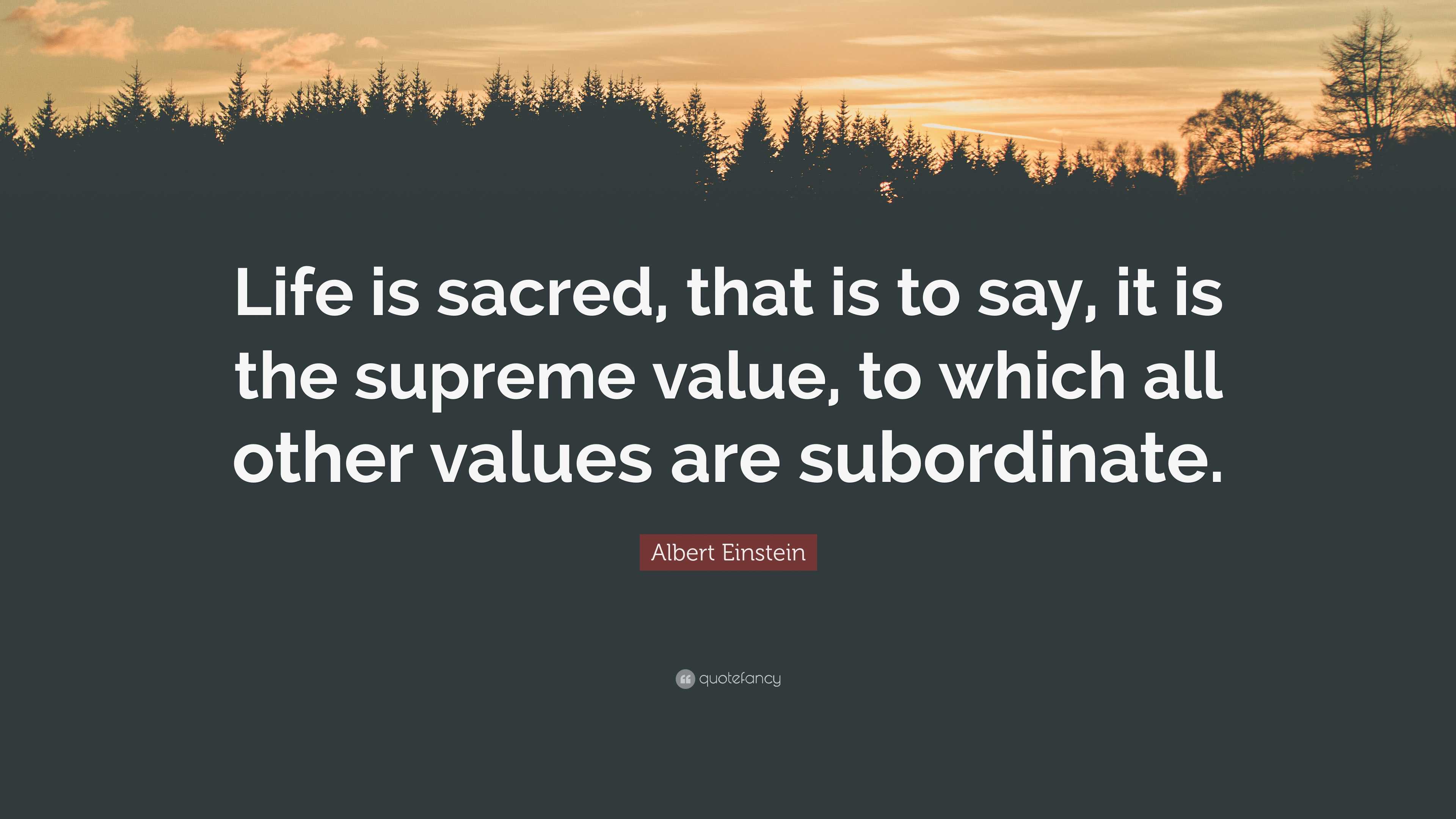 Albert Einstein Quote: “Life is sacred, that is to say, it is the ...