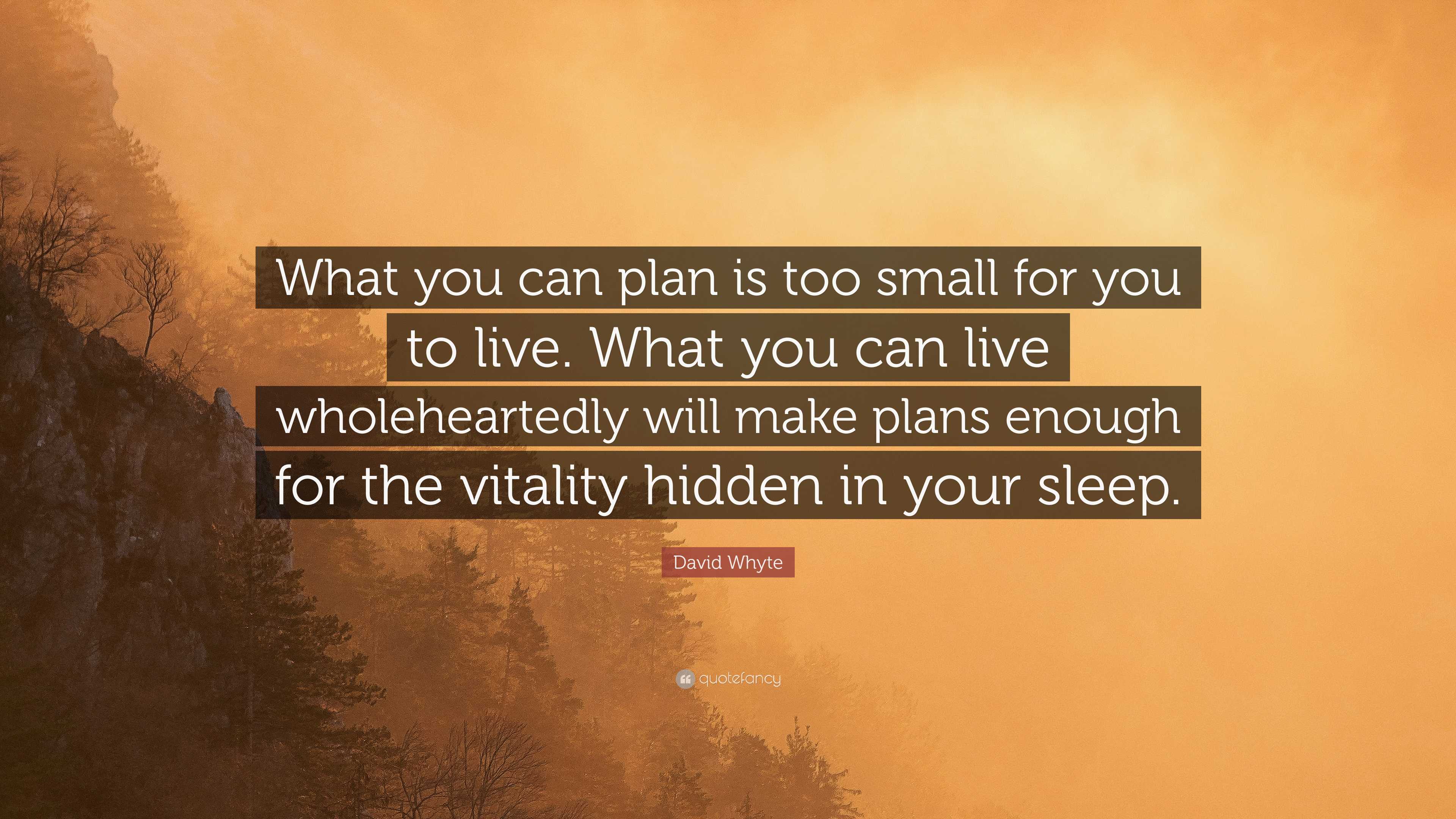 David Whyte Quote: “What you can plan is too small for you to live ...