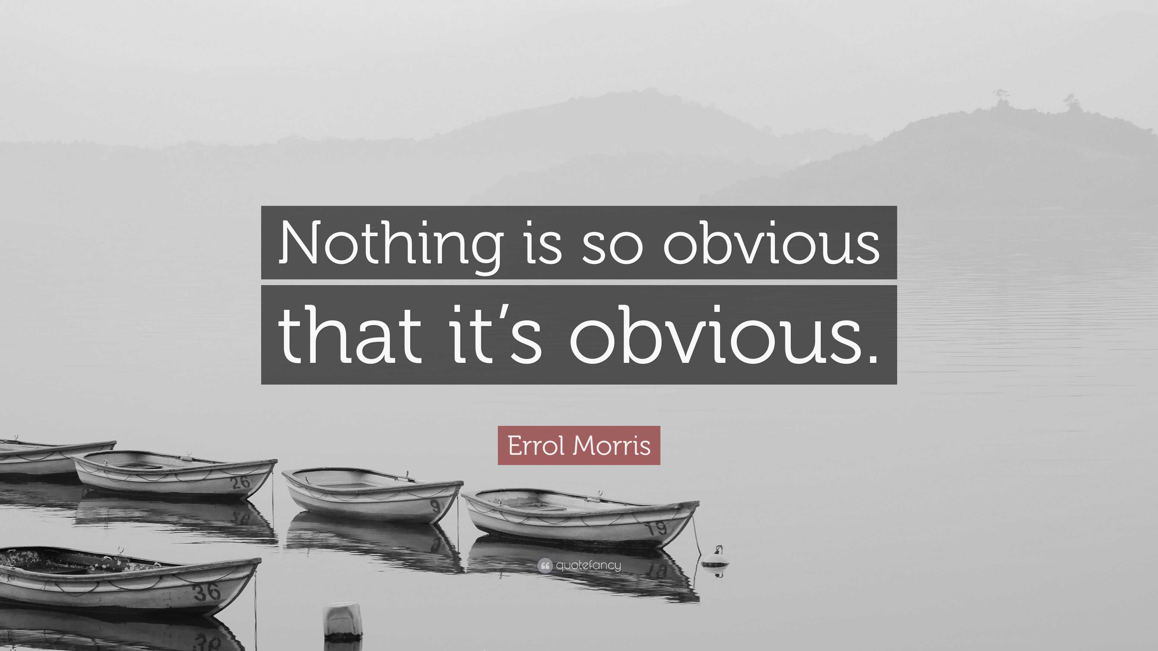 Errol Morris Quote: “Nothing is so obvious that it’s obvious.”