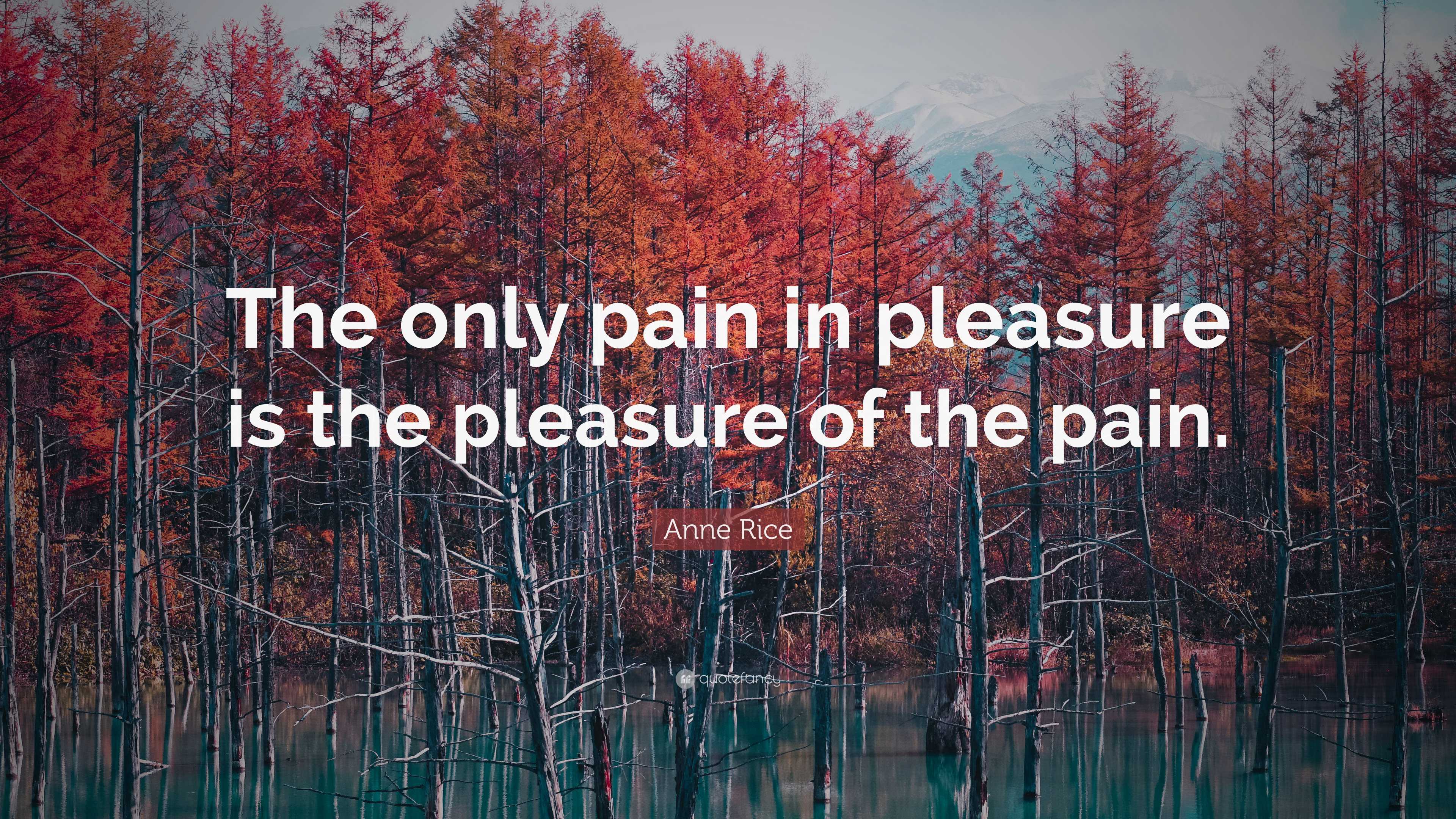 Anne Rice Quote: “The only pain in pleasure is the pleasure of the pain.”