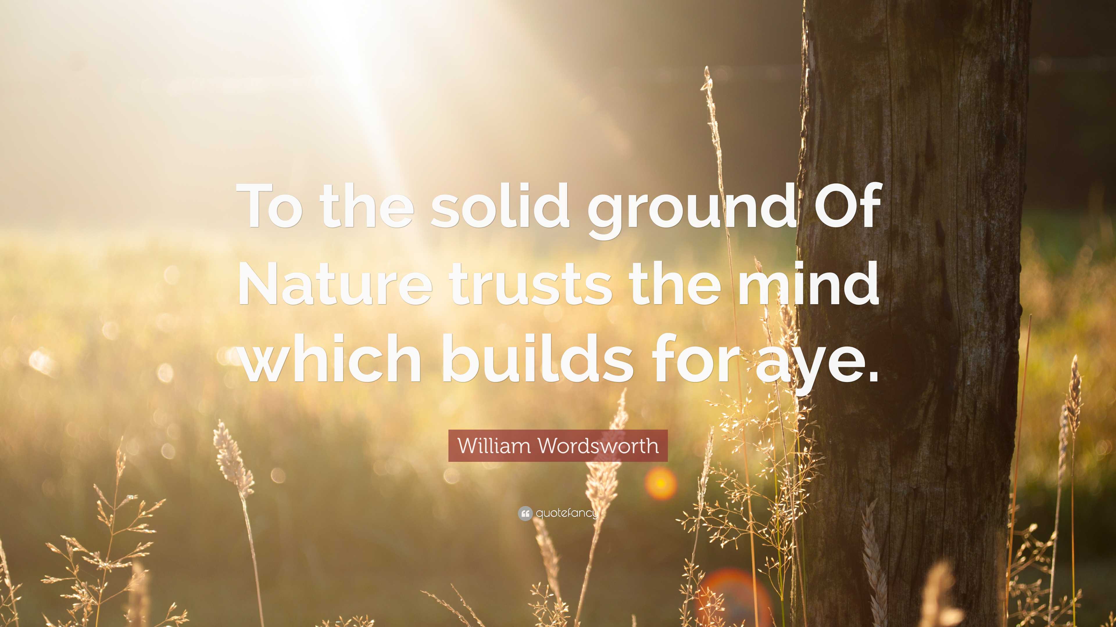 William Wordsworth Quote: “To the solid ground Of Nature trusts the ...