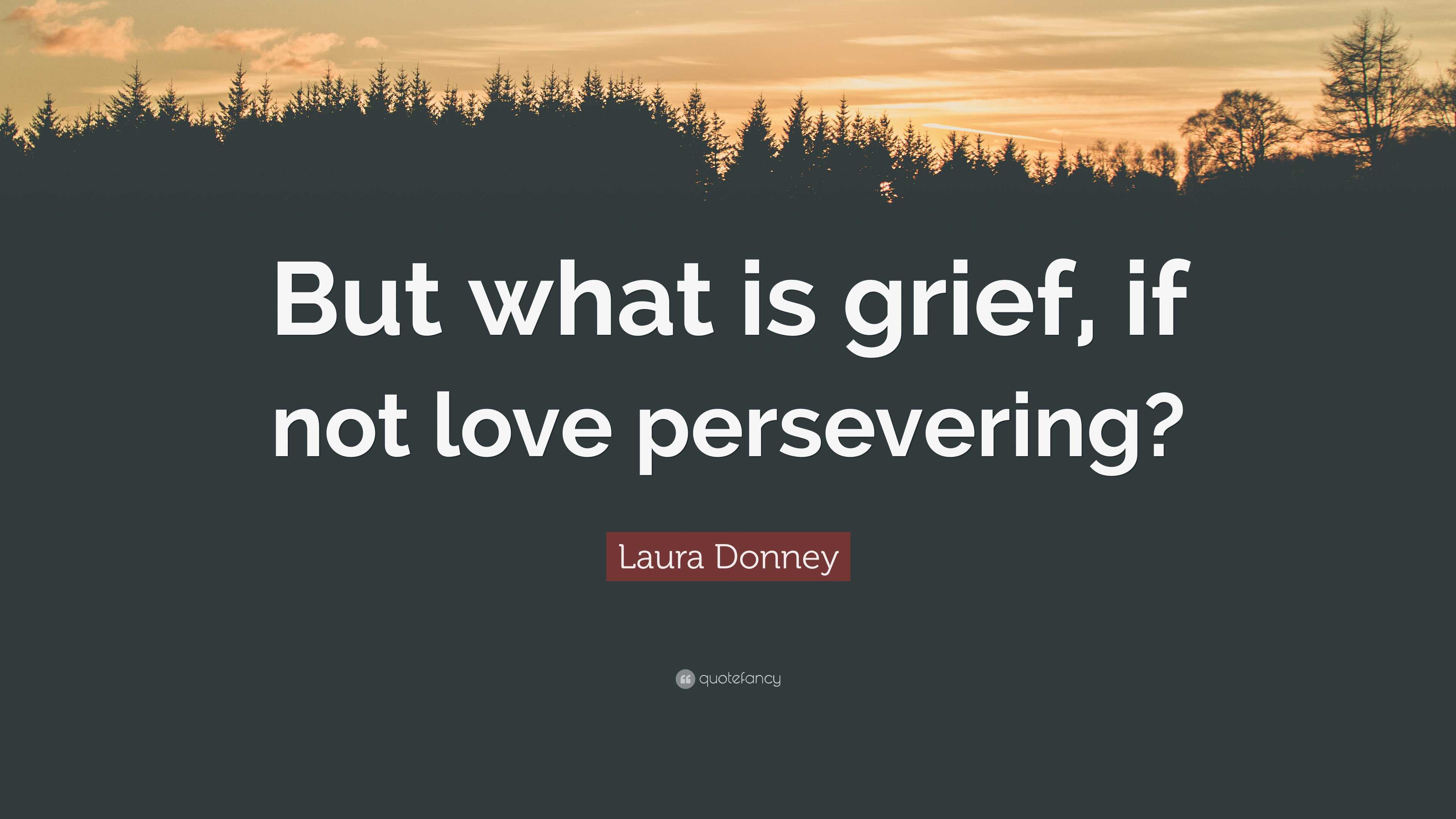 Laura Donney Quote: “But what is grief, if not love persevering?”