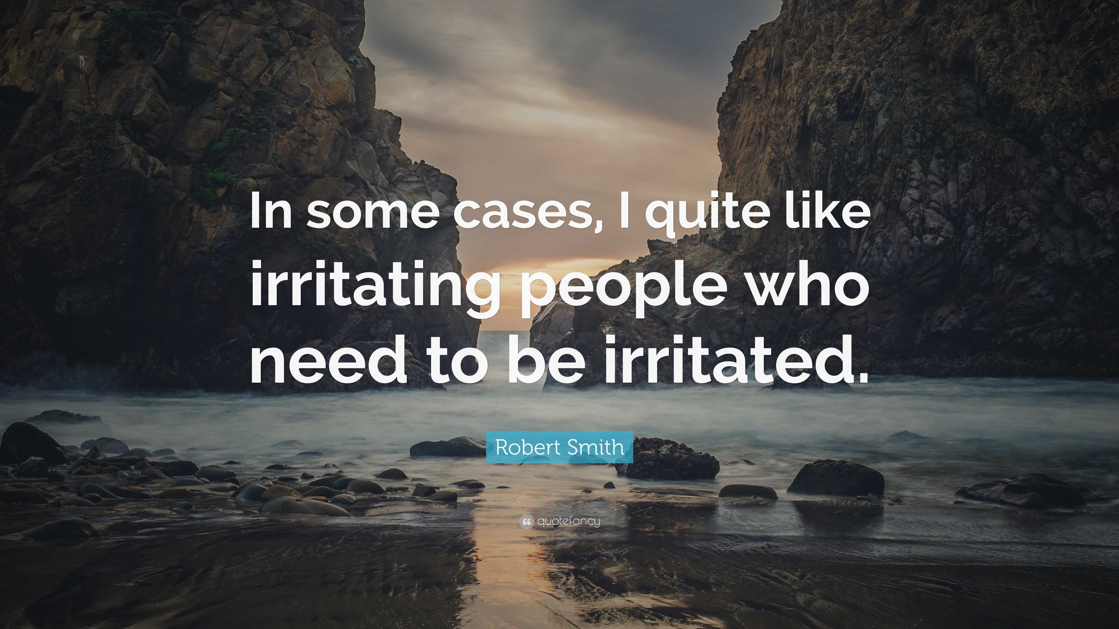 Irritating People Quotes