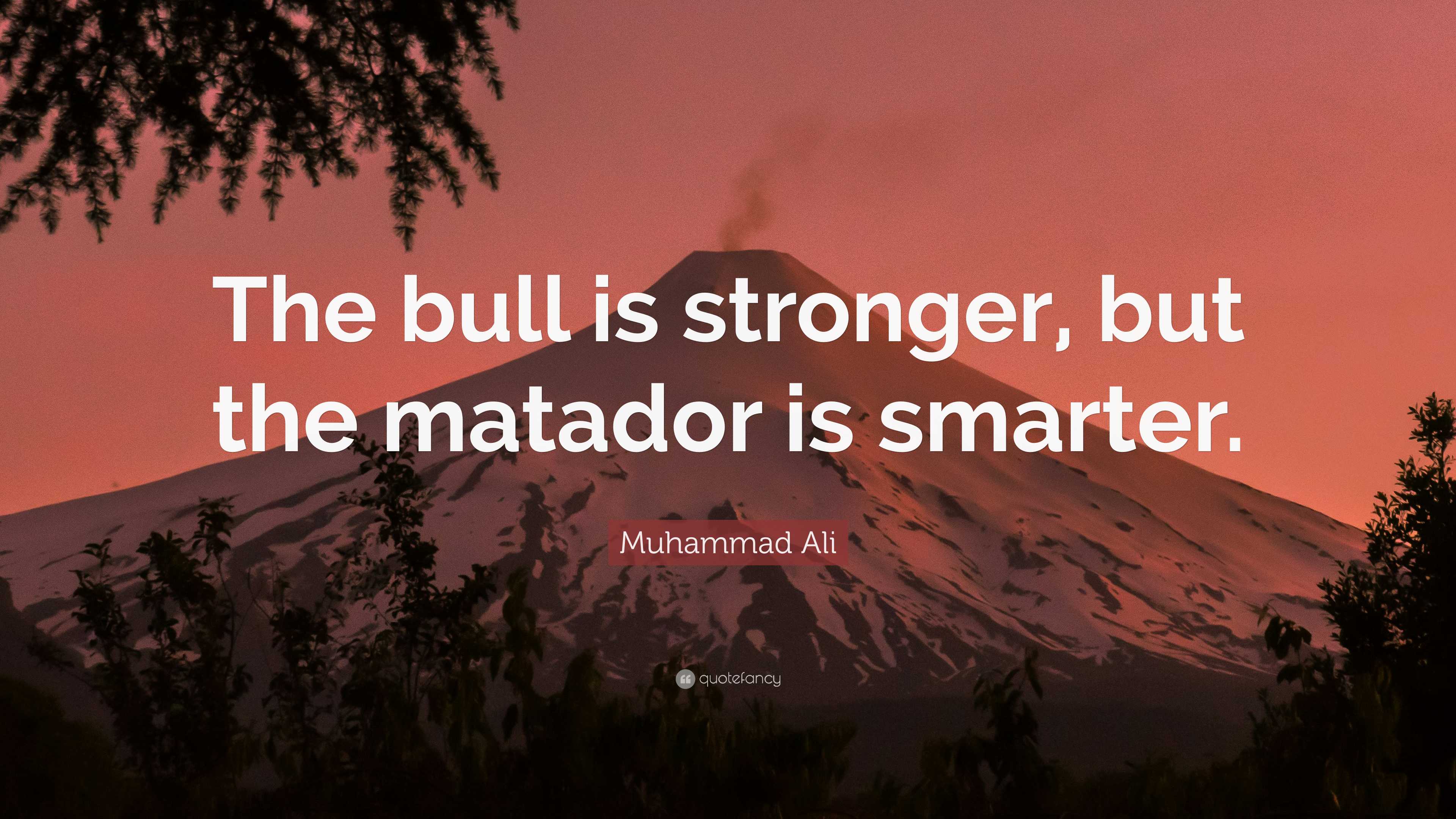 Muhammad Ali Quote: “The bull is stronger, but the matador is smarter.”