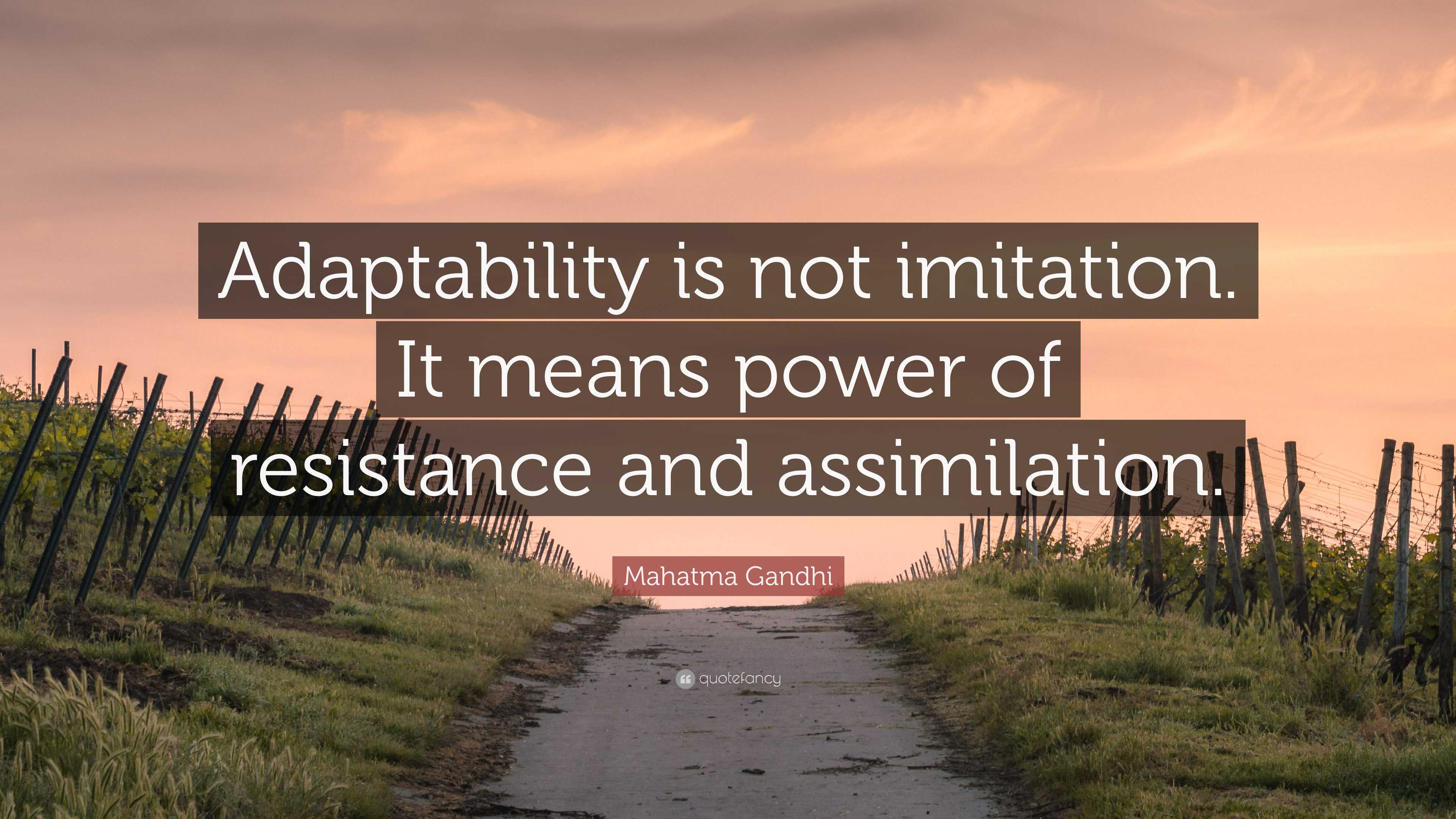 Mahatma Gandhi Quote: “Adaptability is not imitation. It means power of ...
